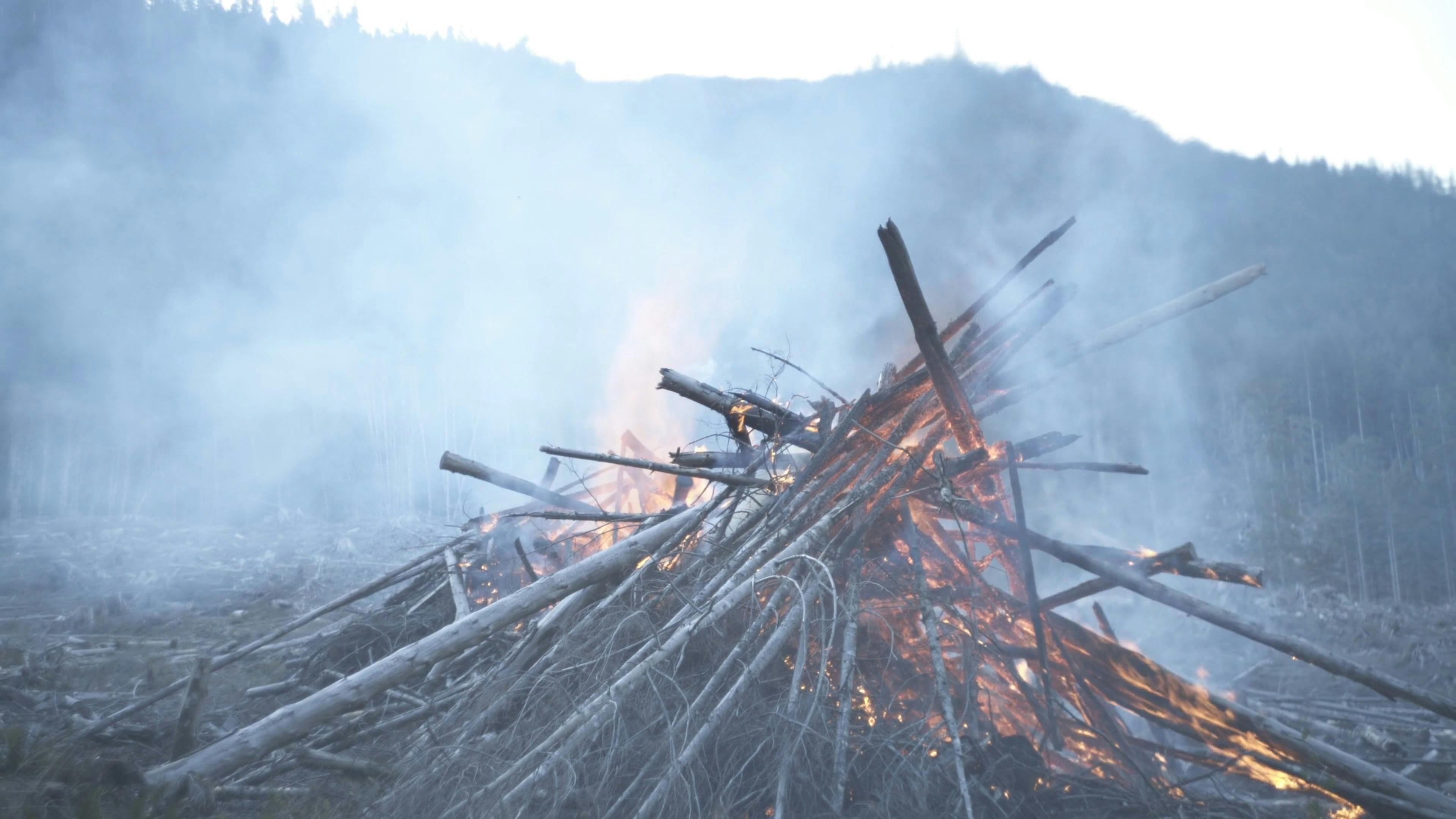 Wood Burning · Free Stock Video