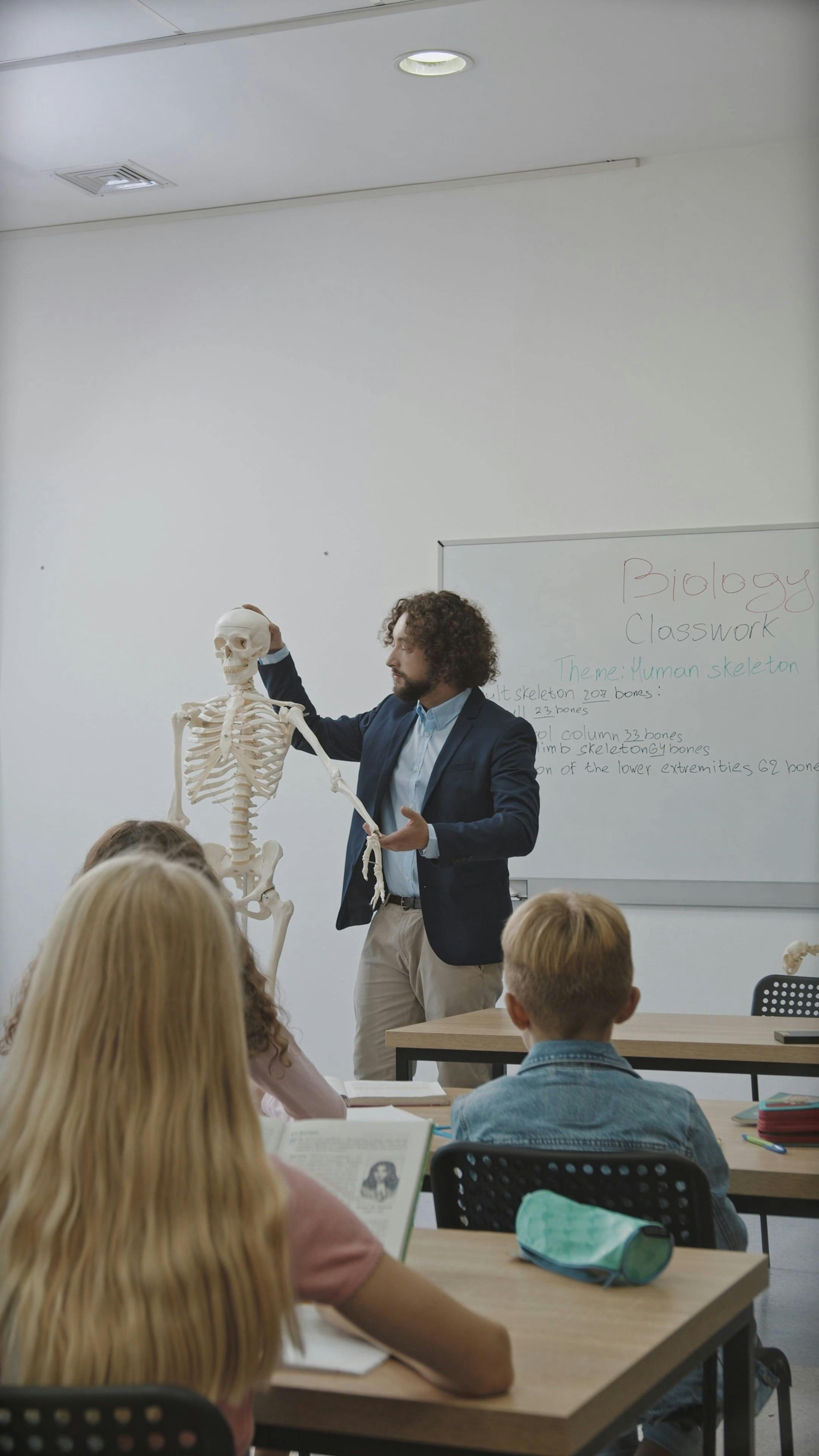 Teacher and Students in Class with Human Skeleton Model · Free Stock Video
