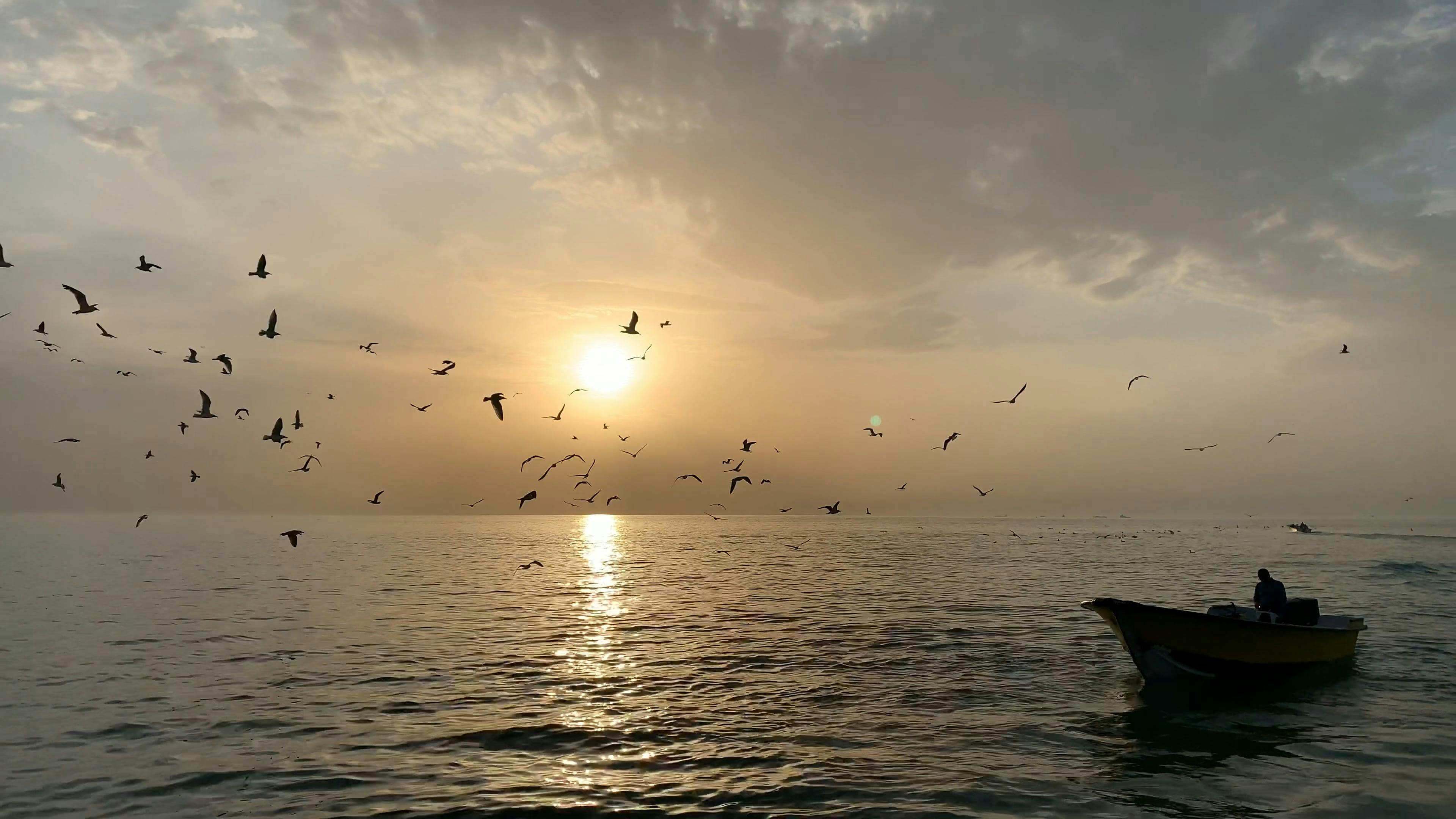 Iran Nature Videos, Download The BEST Free 4k Stock Video Footage ...