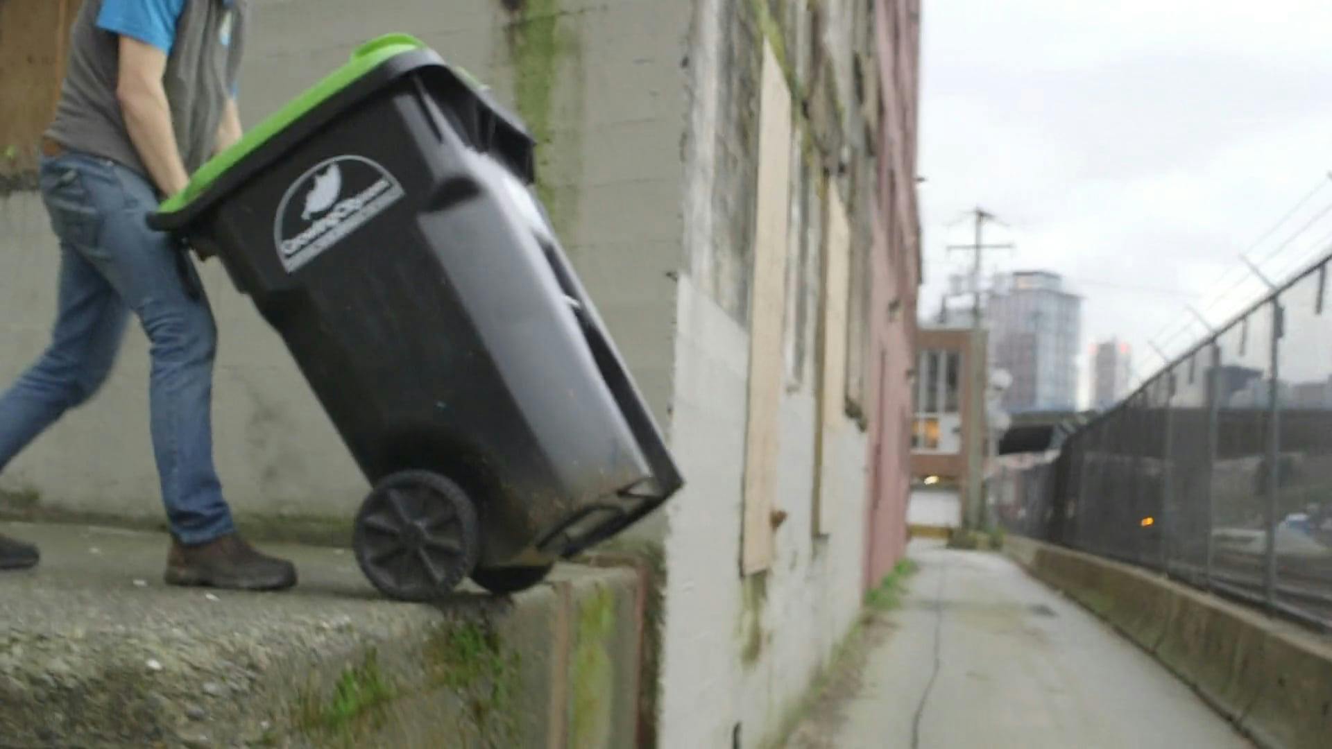 Clean Area Free Of Garbage Bangladesh Videos, Download The BEST Free 4k ...