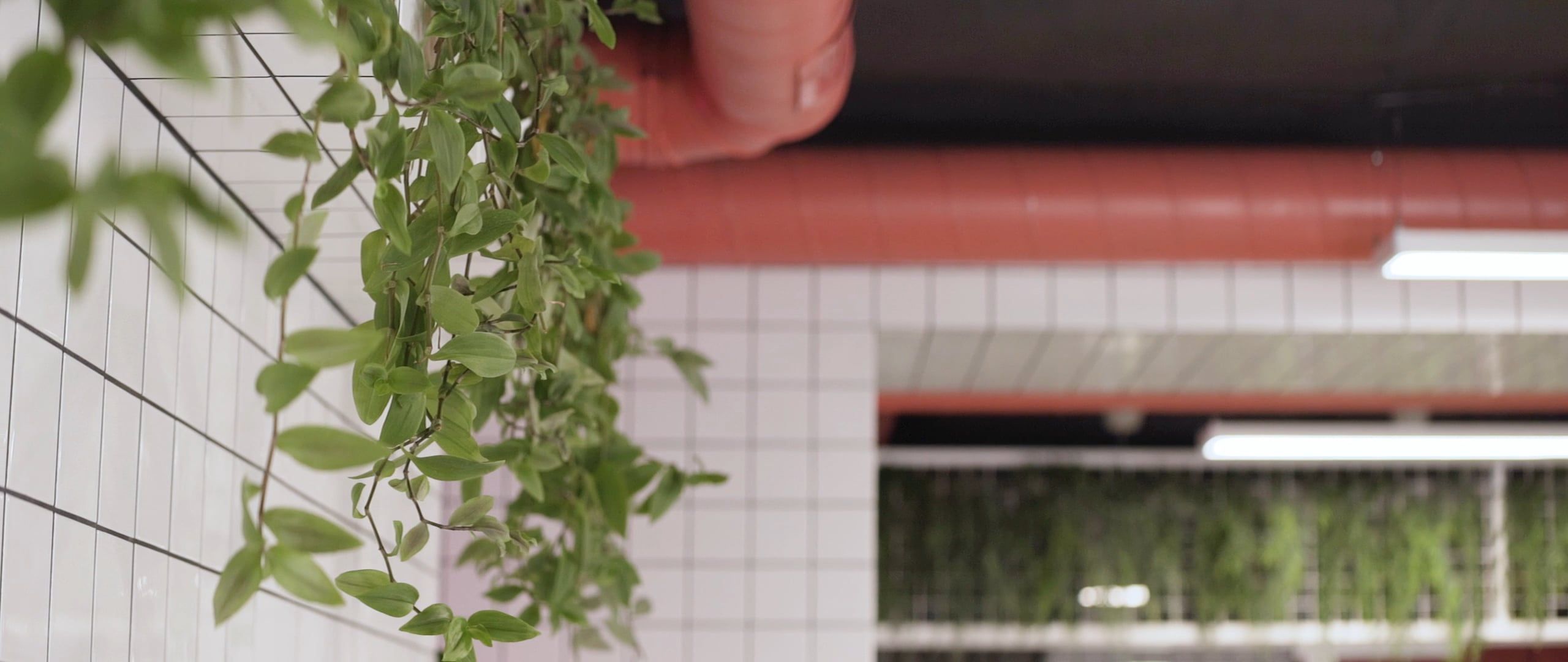 Tile Hanging Videos, Download The BEST Free 4k Stock Video Footage ...