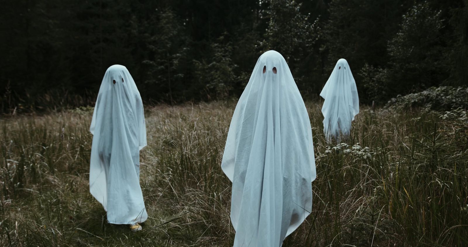 Scary Halloween Videos, Download The BEST Free 4k Stock Video Footage ...