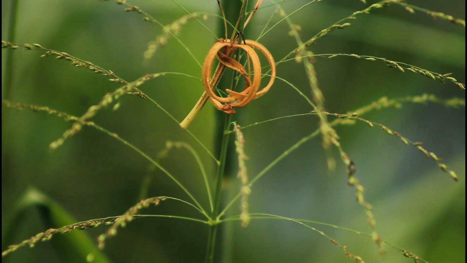 Stuck Videos, Download The BEST Free 4k Stock Video Footage & Stuck HD ...