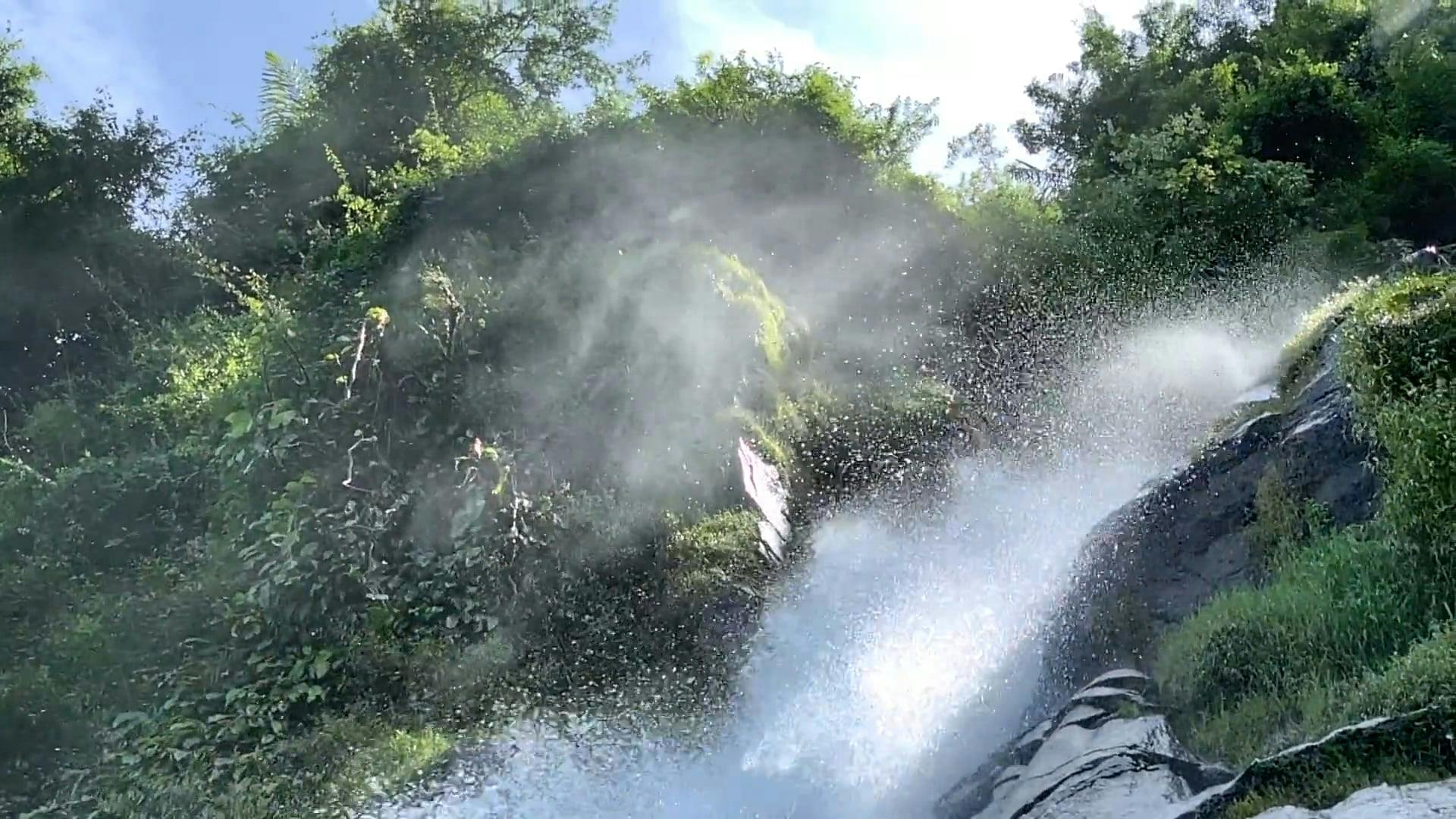 Hutan Danau Videos, Download The BEST Free 4k Stock Video Footage ...