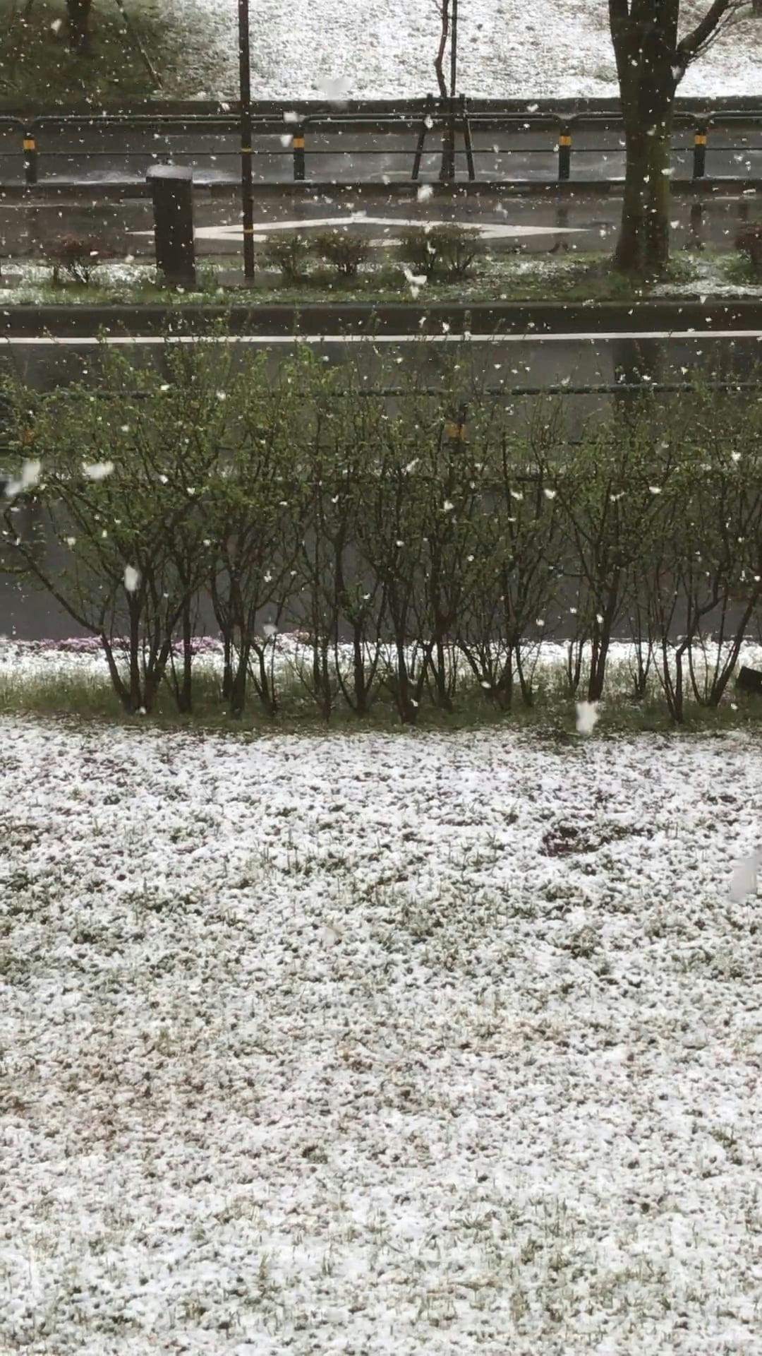 View of Snowfall Free Stock Video Footage, Royalty-Free 4K & HD Video Clip