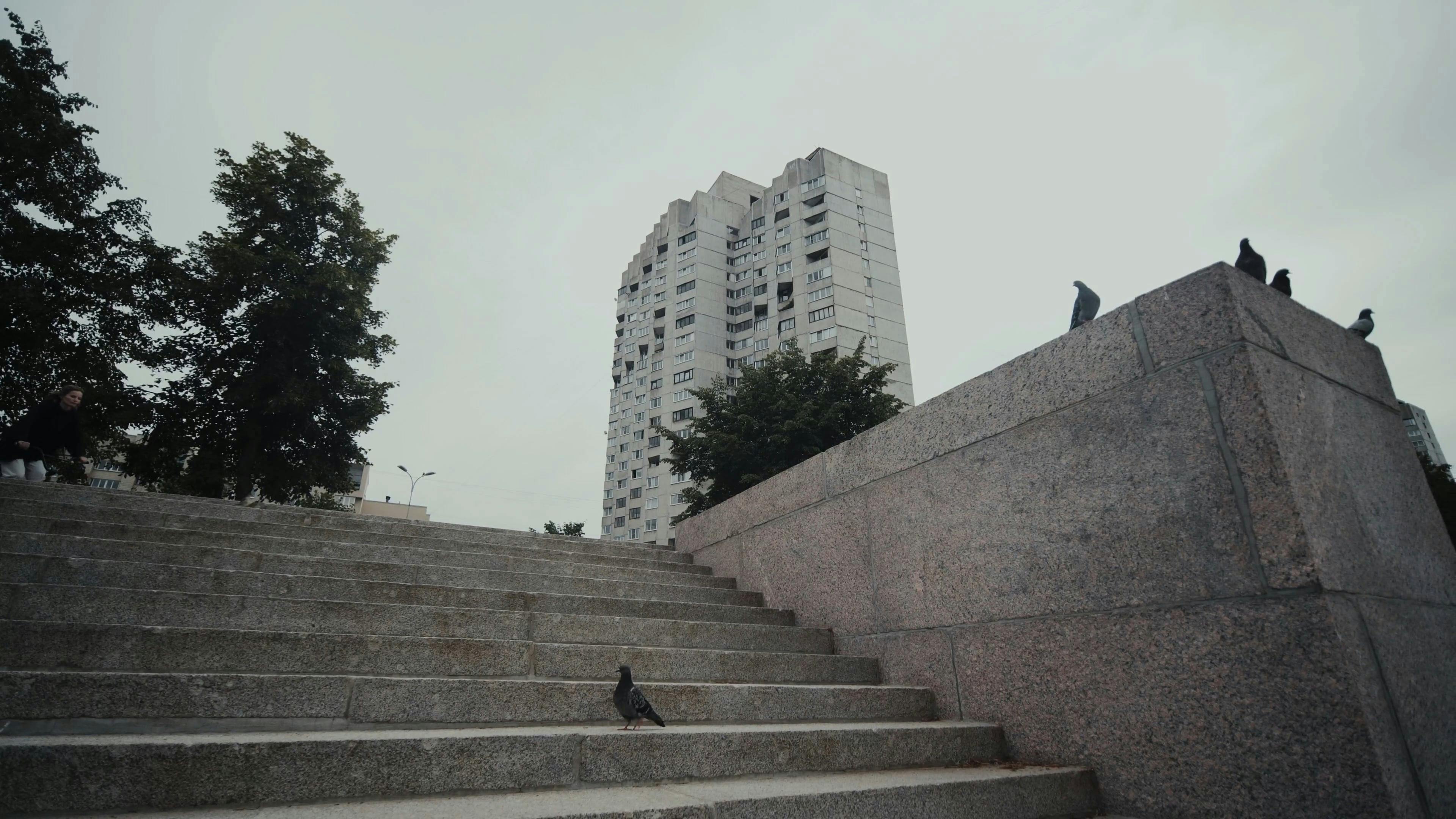 Livia De Perspective Videos, Download The BEST Free 4k Stock Video ...