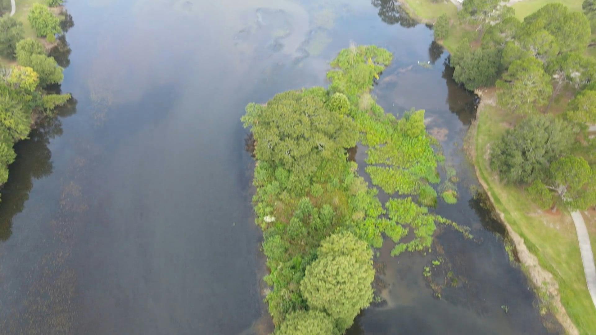 Bird's Eye View Of A Beautiful Park With Water Fountain Free Stock ...