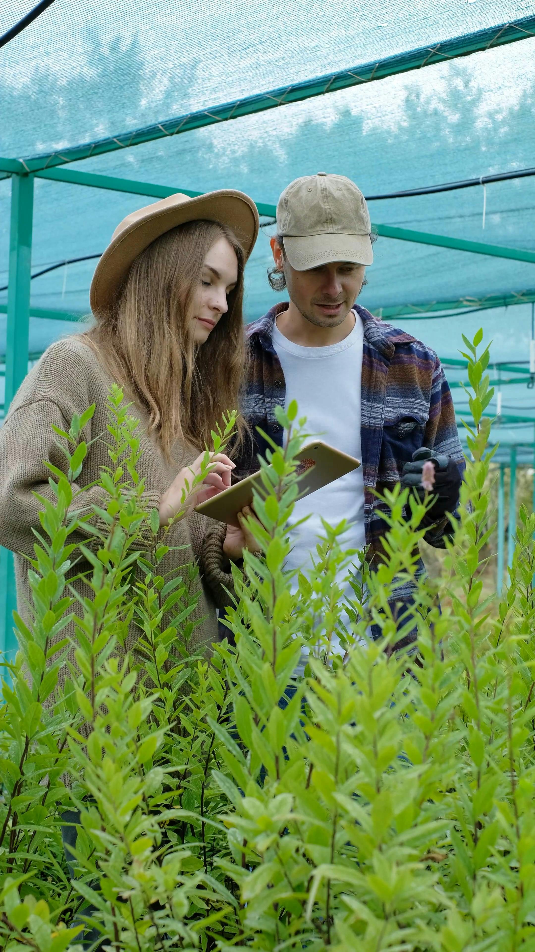 Reduce Greenhouse Gases Videos, Download The BEST Free 4k Stock Video Footage & Reduce ...