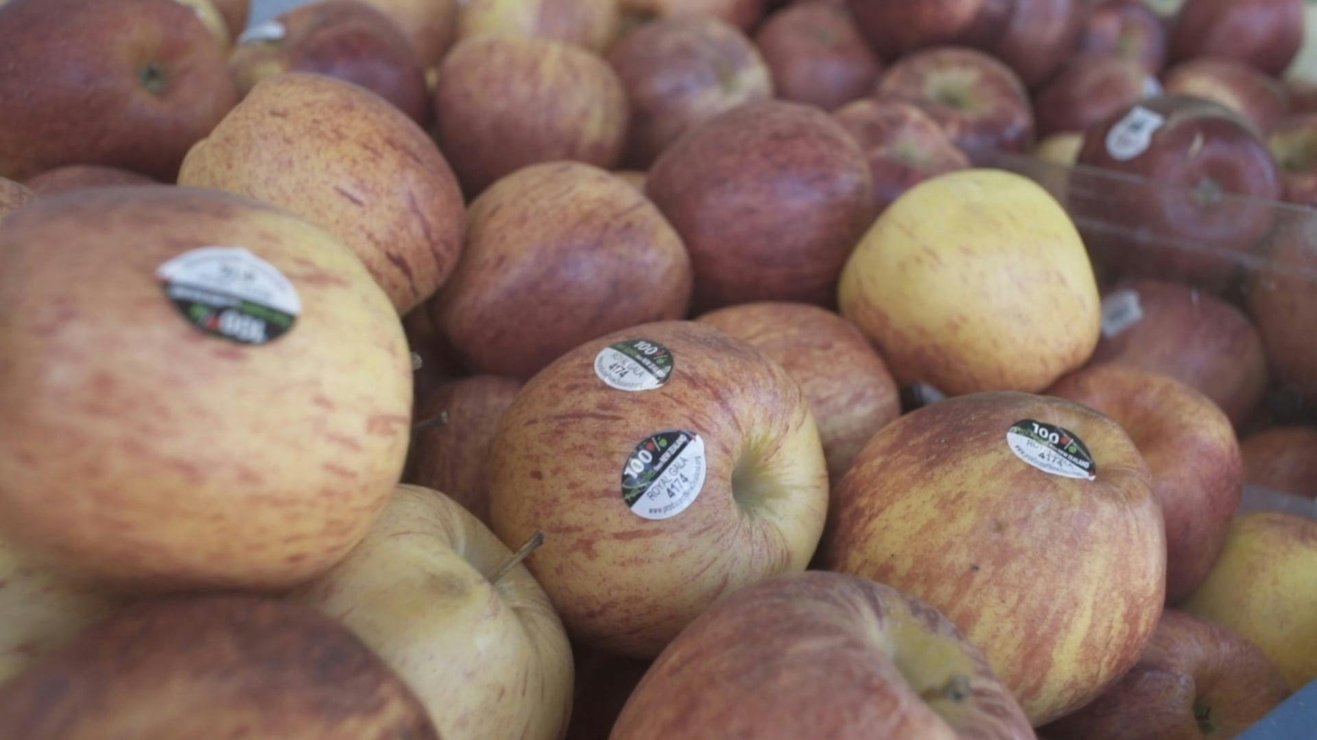 Many Apples Videos, Download The BEST Free 4k Stock Video Footage ...