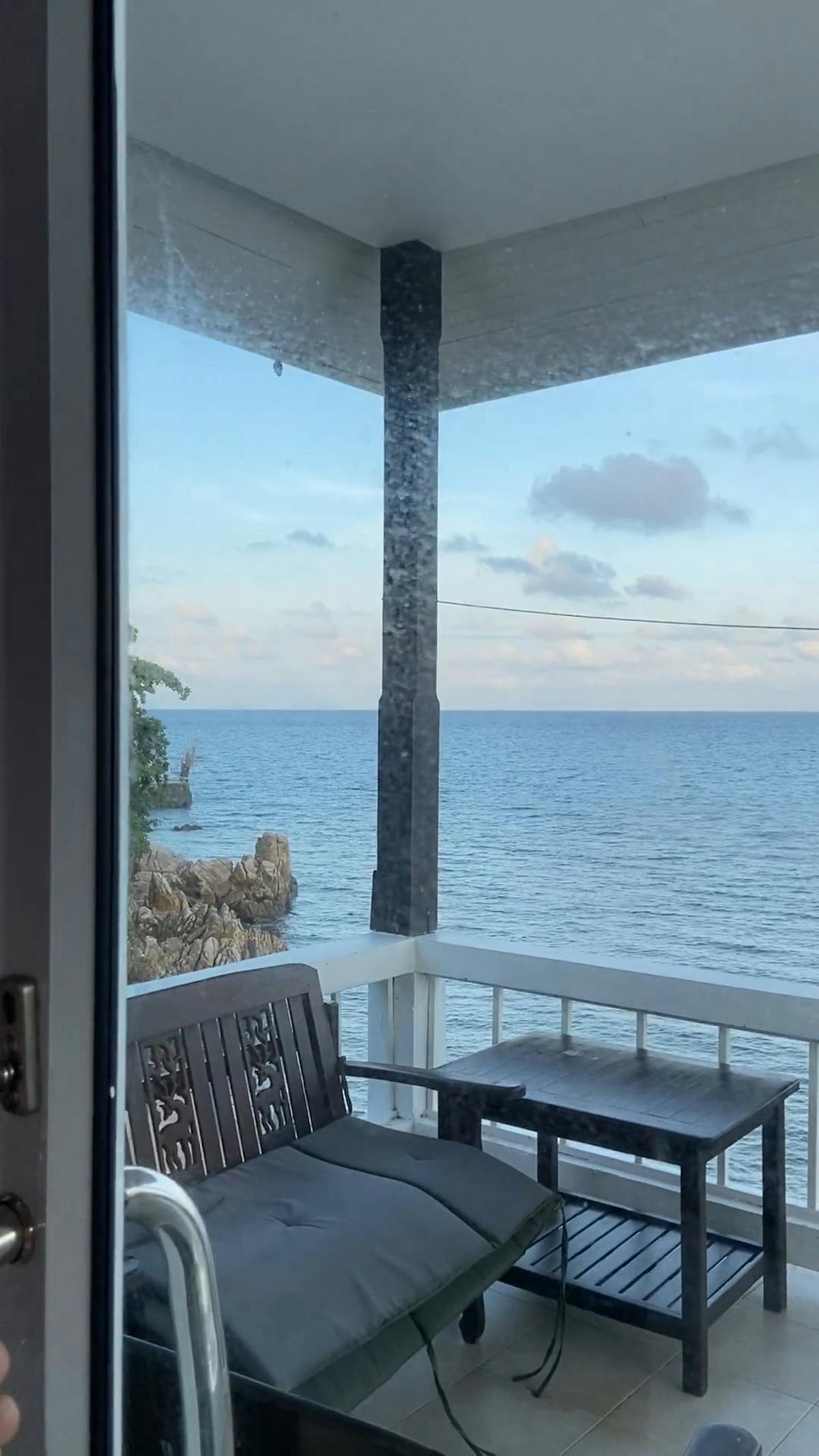 Gecko Videos, Download The BEST Free 4k Stock Video Footage & Gecko HD ...