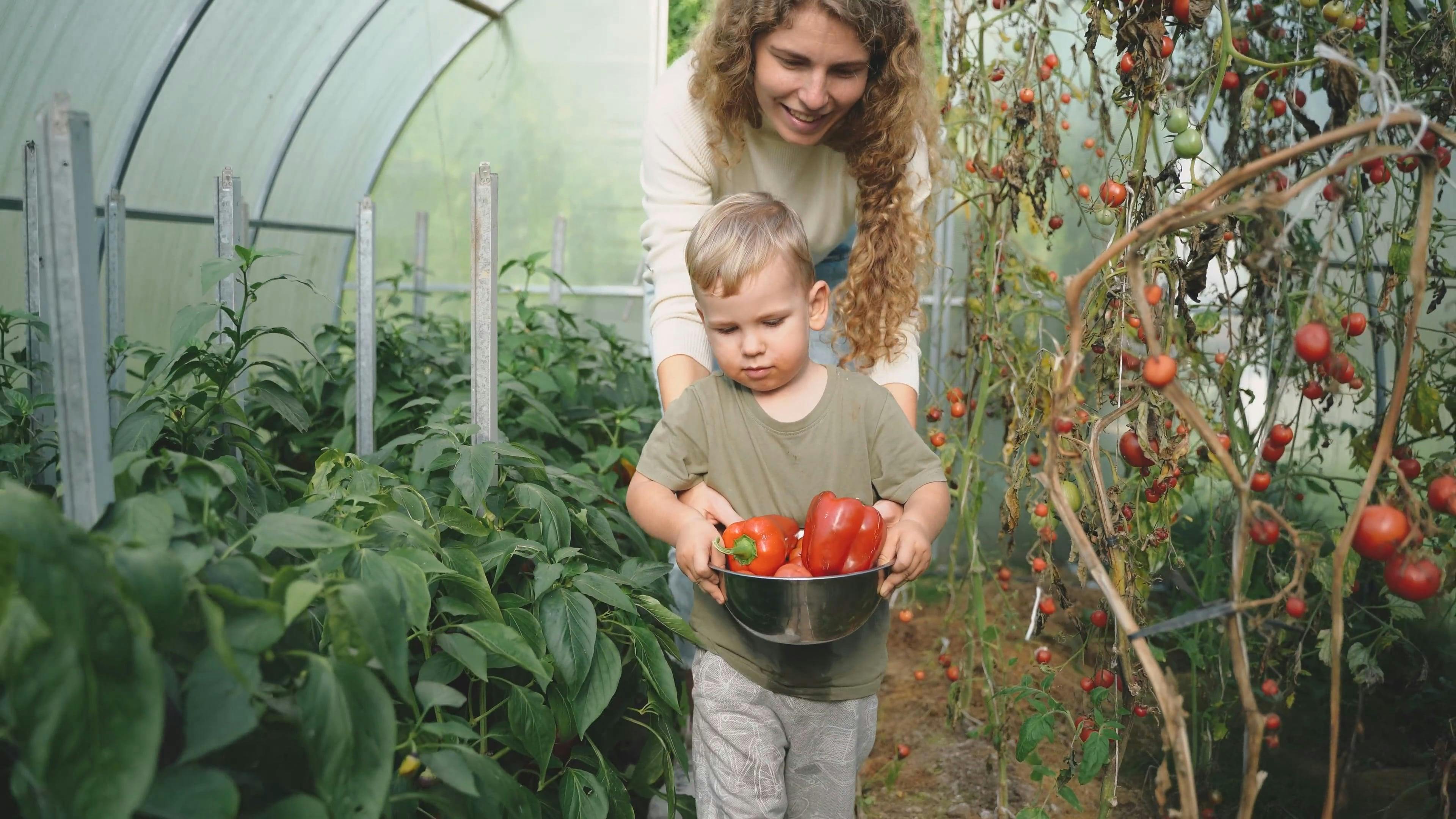 Raw Family Videos, Download The BEST Free 4k Stock Video Footage & Raw ...