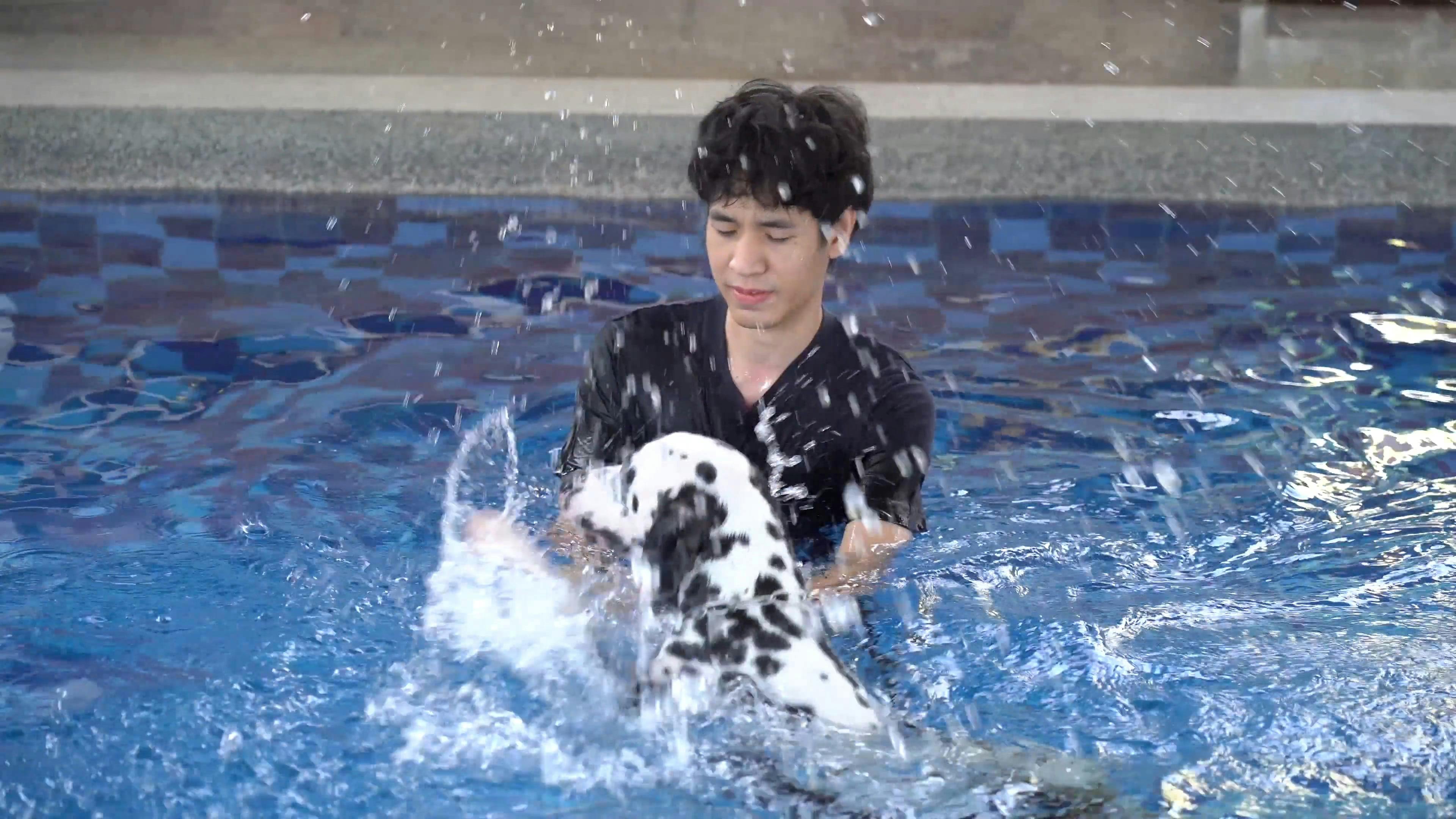 Teenagers Swimming Pool Videos, Download The BEST Free 4k Stock Video ...