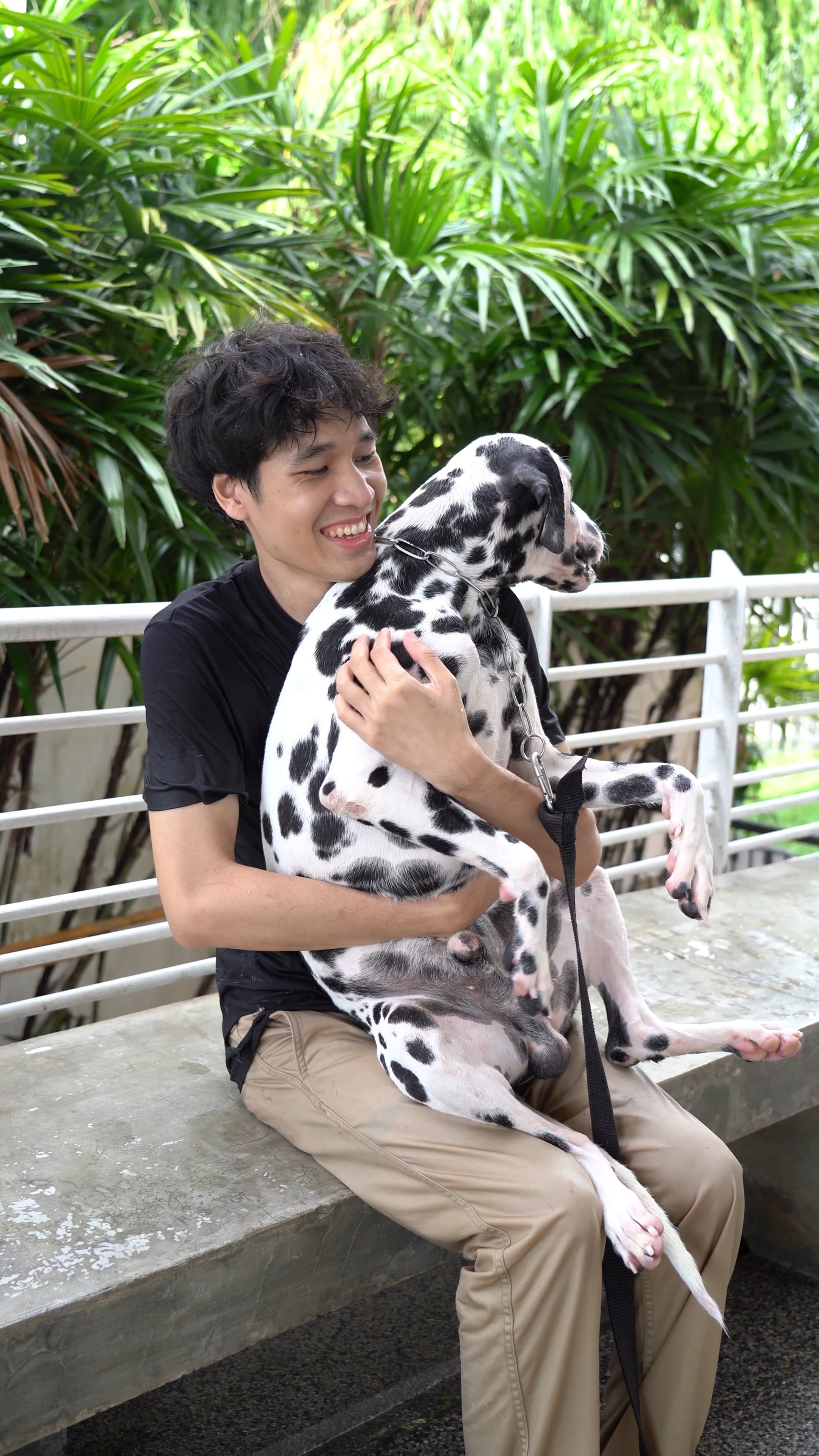 Young Man Carrying His Dog Free Stock Video Footage, Royalty-Free 4K ...