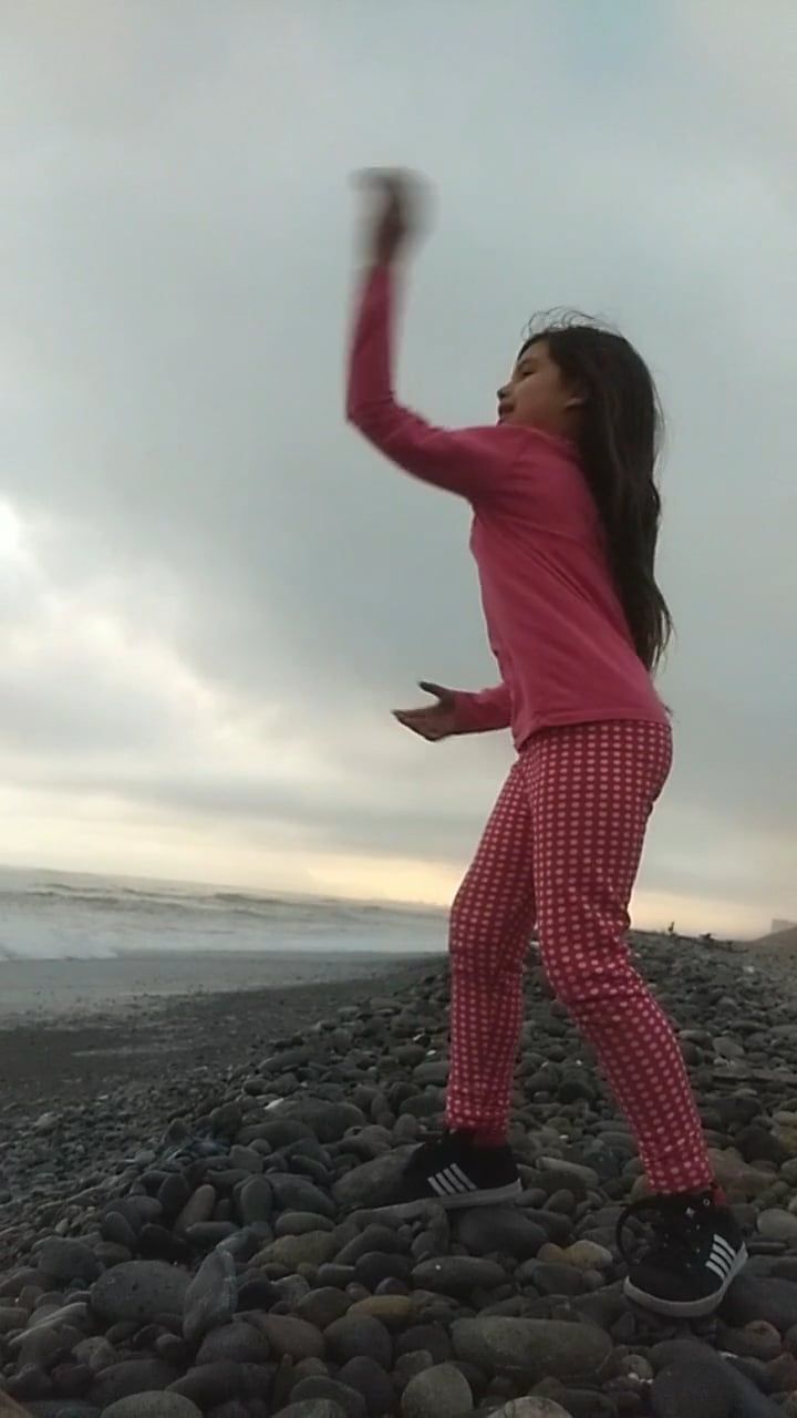 A Girl Throwing a Stone on Rocky Shore Free Stock Video Footage ...