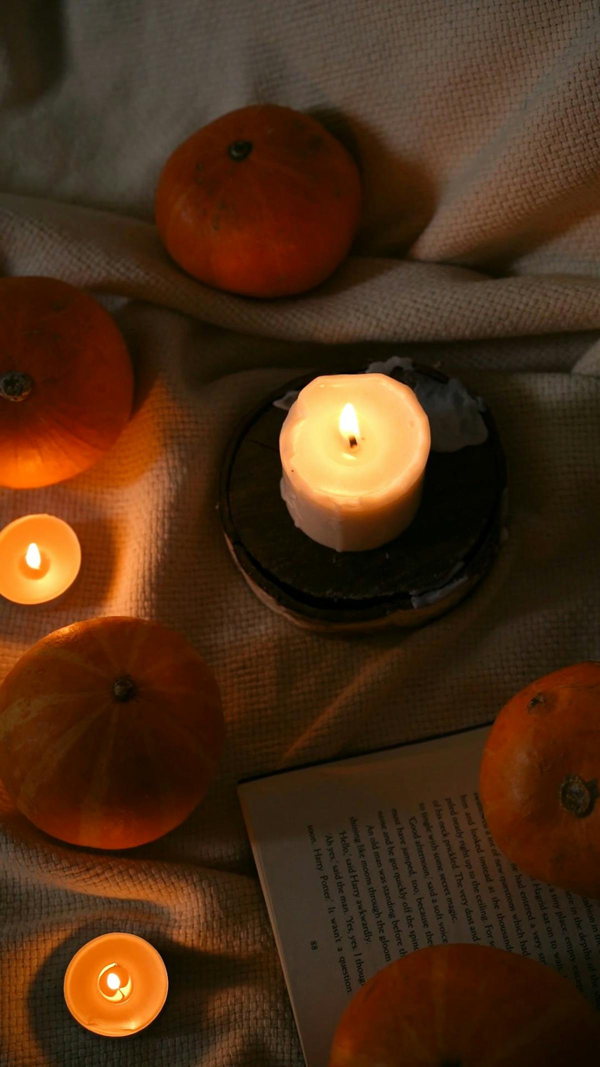 Halloween Scenes Videos, Download The BEST Free 4k Stock Video Footage ...