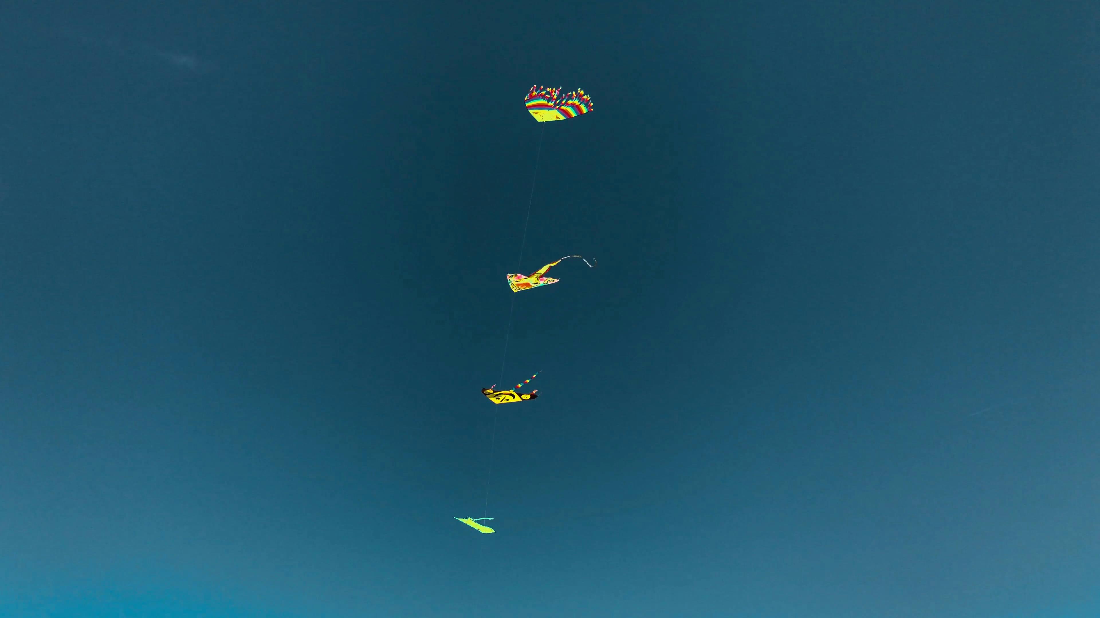 Kites Flying · Free Stock Video