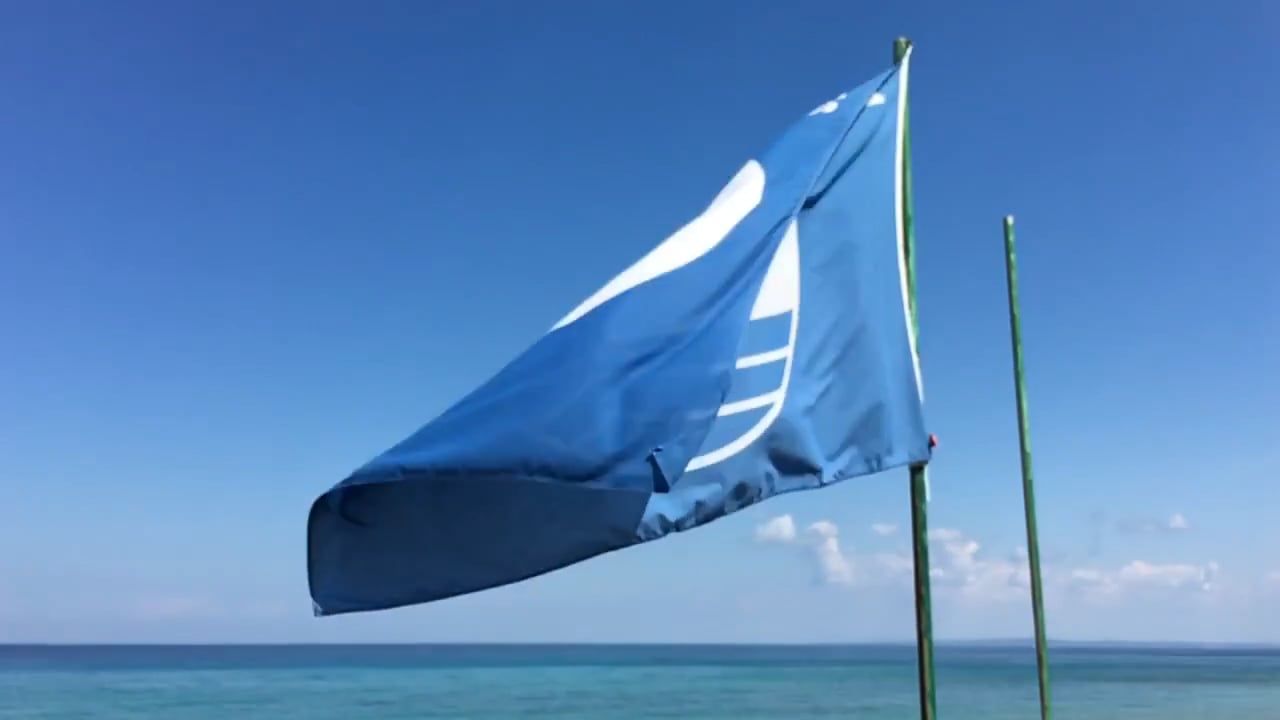 Coastal Flag Videos, Download The BEST Free 4k Stock Video Footage ...
