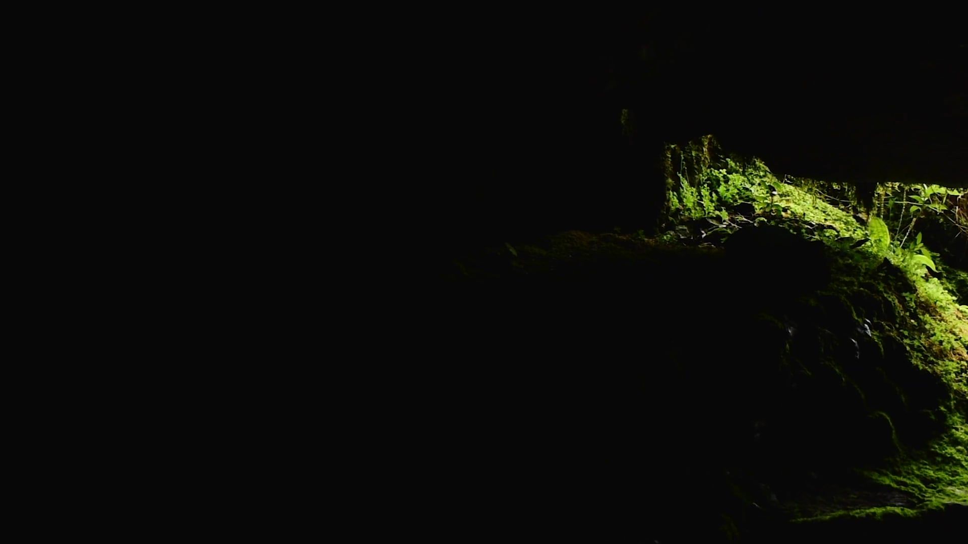 Inside a Dark Cave Free Stock Video Footage, Royalty-Free 4K & HD Video ...