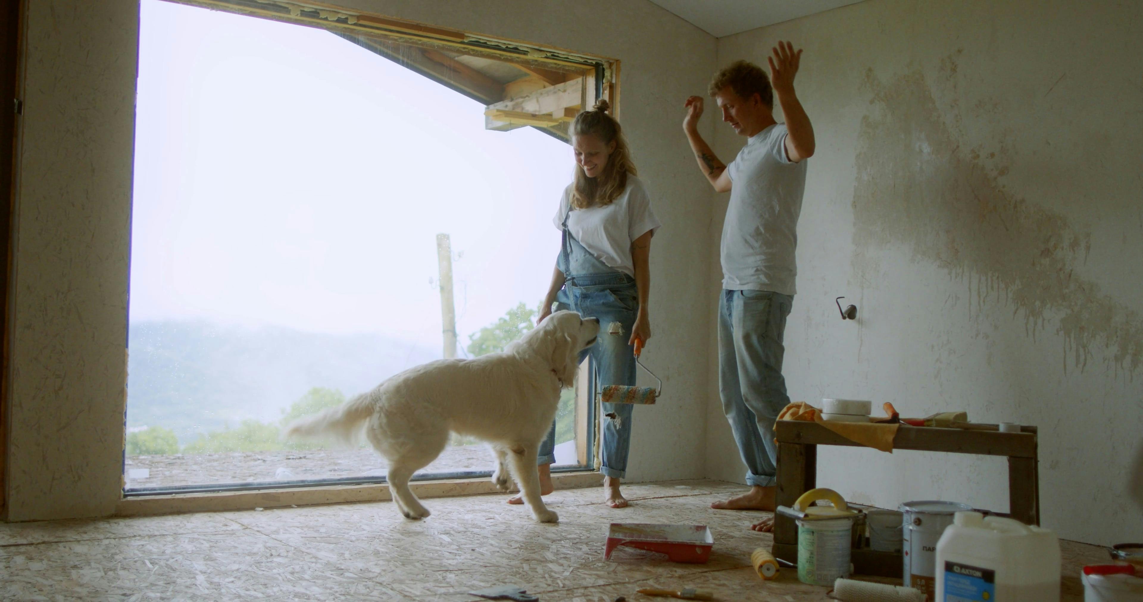 Building Construction Animated Videos, Download The BEST Free 4k Stock ...