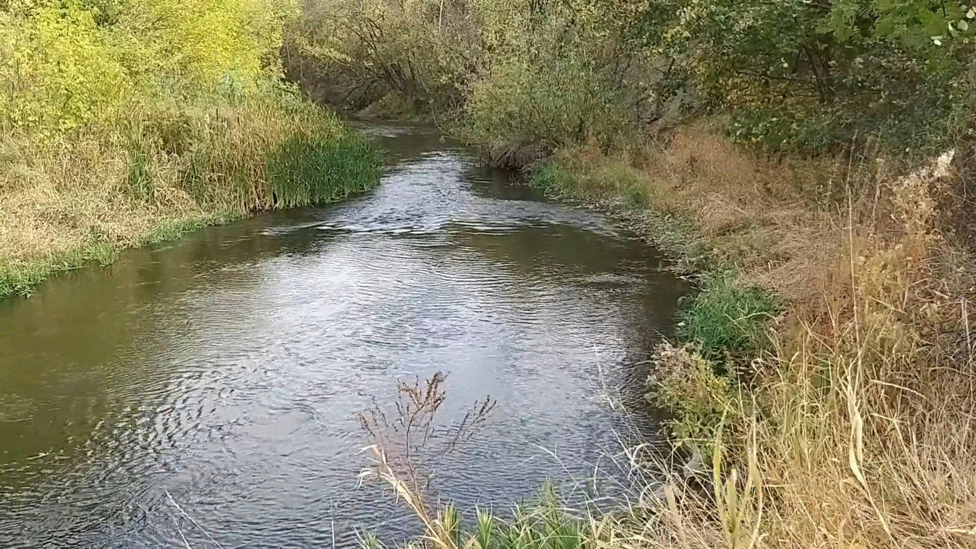 A Clear Flowing River · Free Stock Video