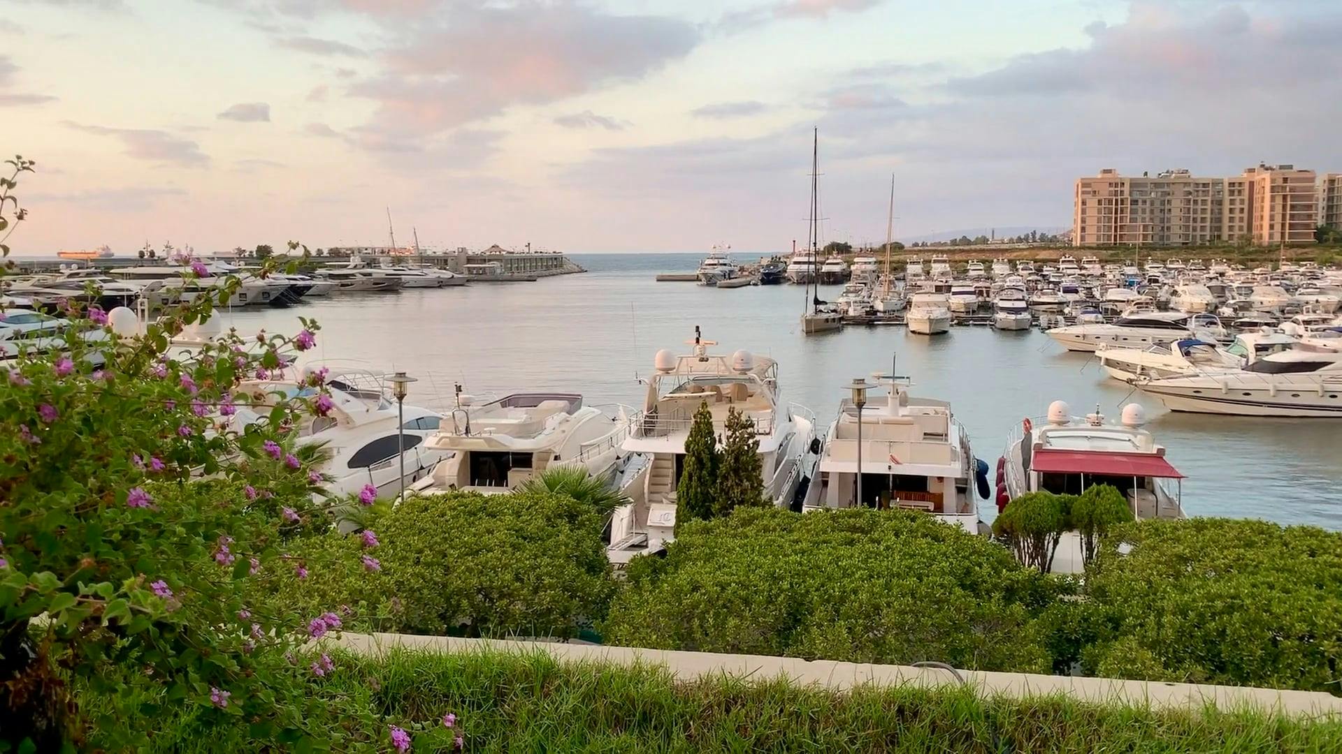View of Boats and Yachts Moored in Port Free Stock Video Footage ...