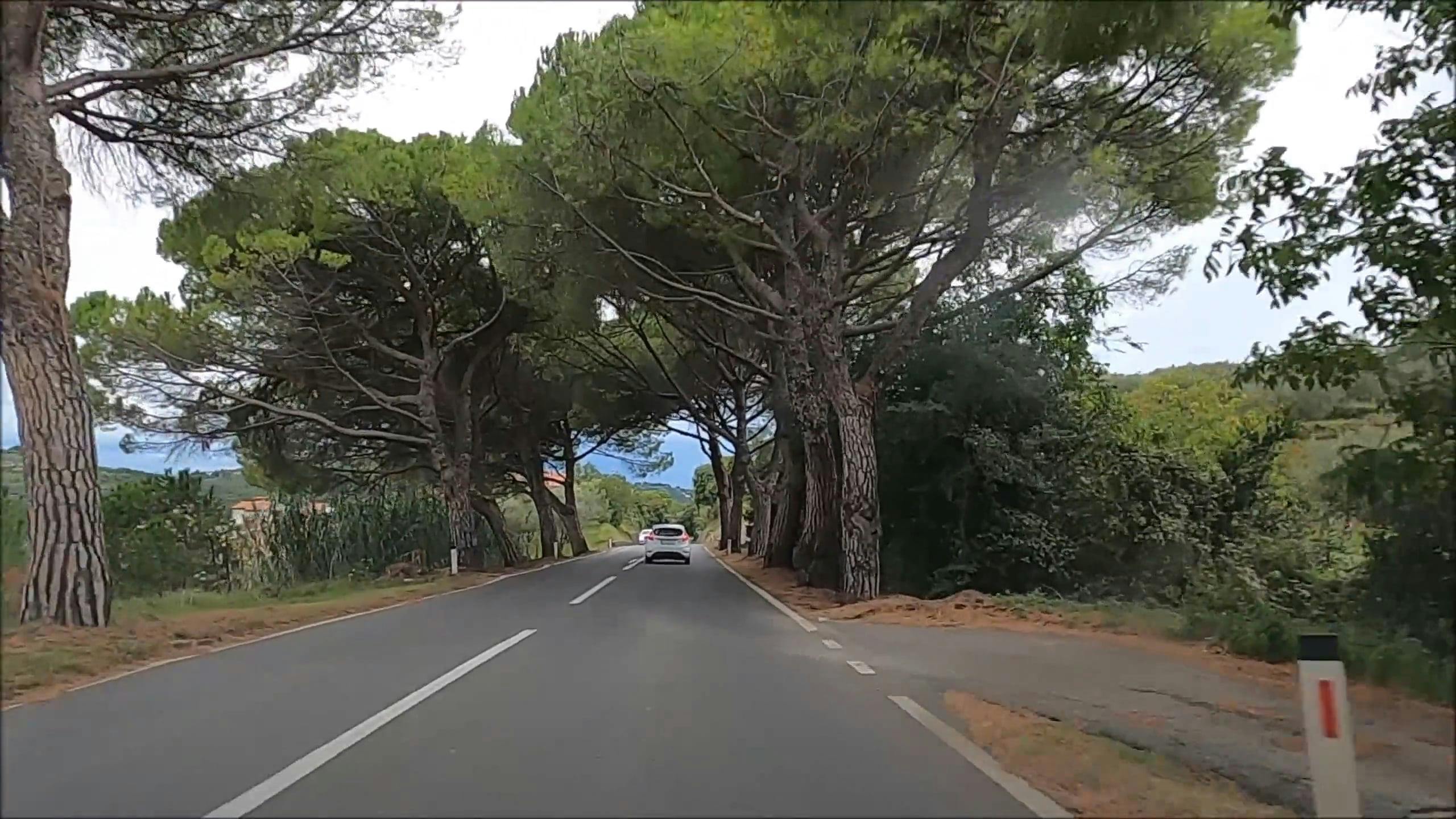 Back View of White Car on Road Free Stock Video Footage, Royalty-Free ...