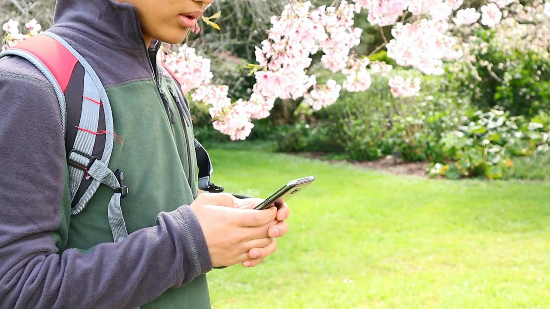 A Young Boy Using a Smartphone Free Stock Video Footage, Royalty-Free ...