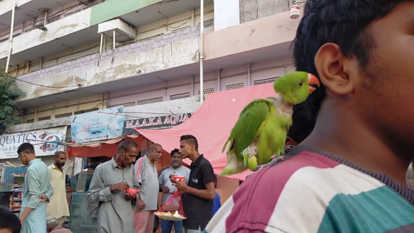 Crowd Pakistan Videos, Download The BEST Free 4k Stock Video Footage ...