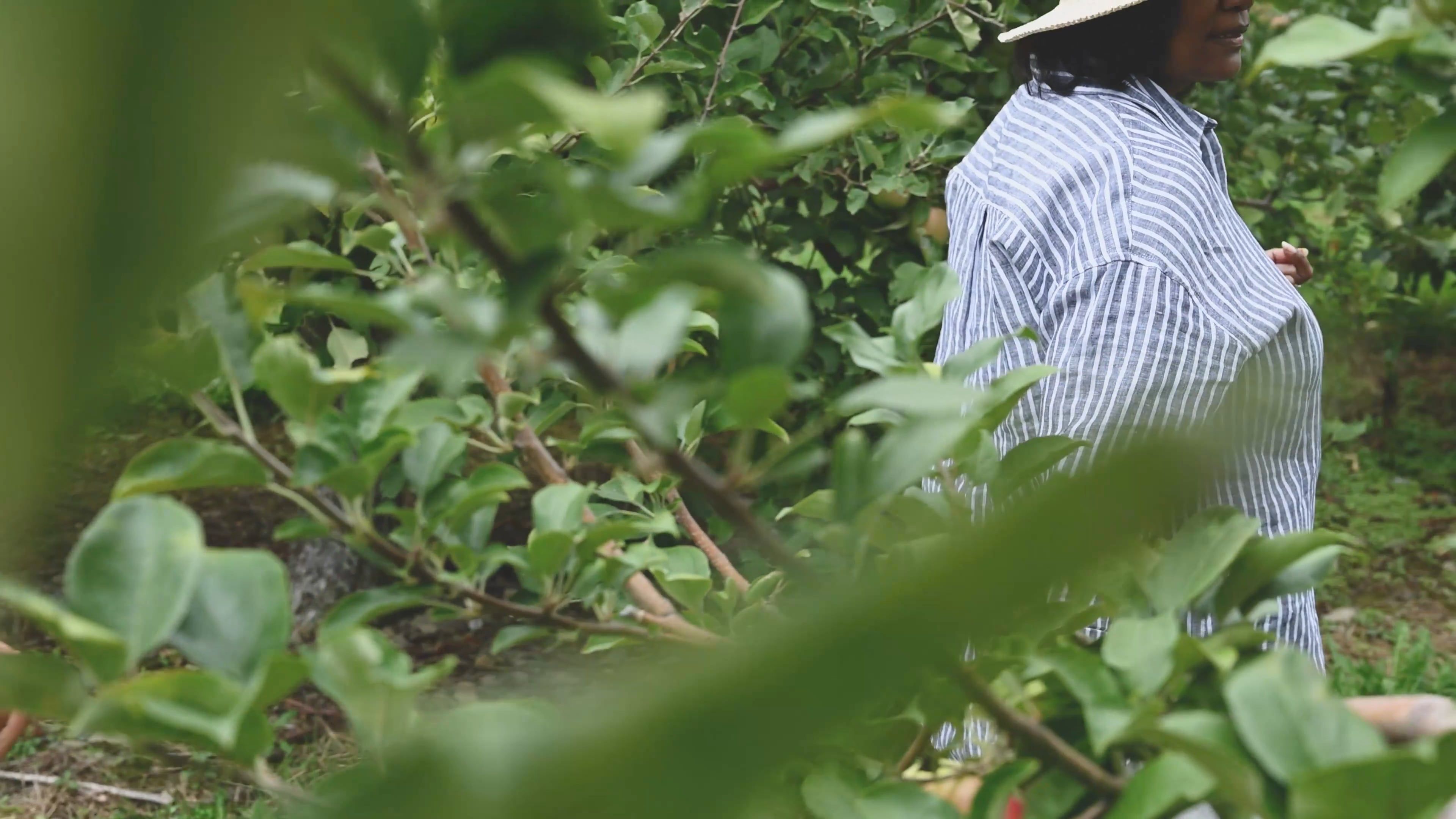 Family Planting Trees Videos, Download The BEST Free 4k Stock Video ...
