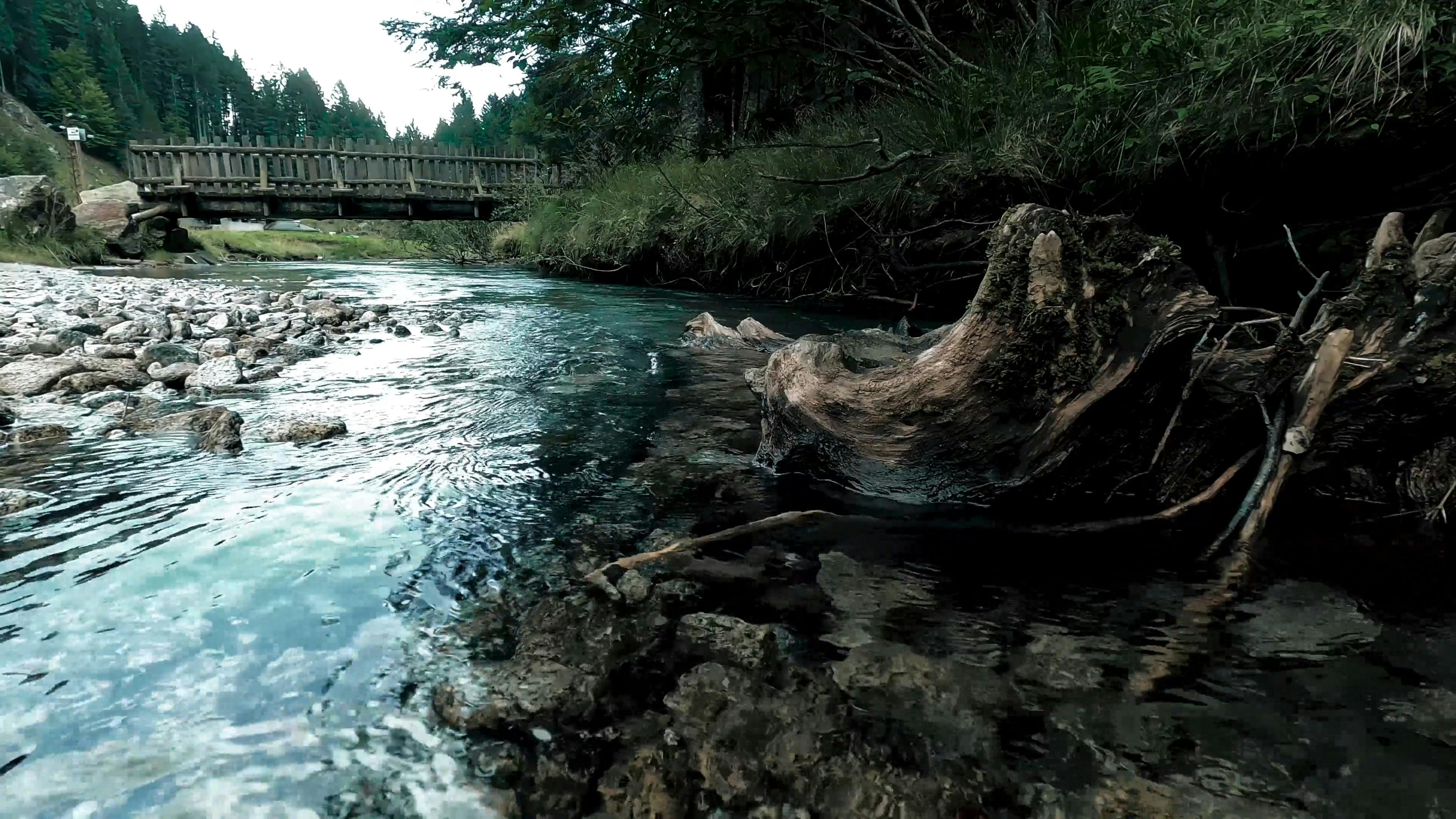 Water Flowing in the River · Free Stock Video