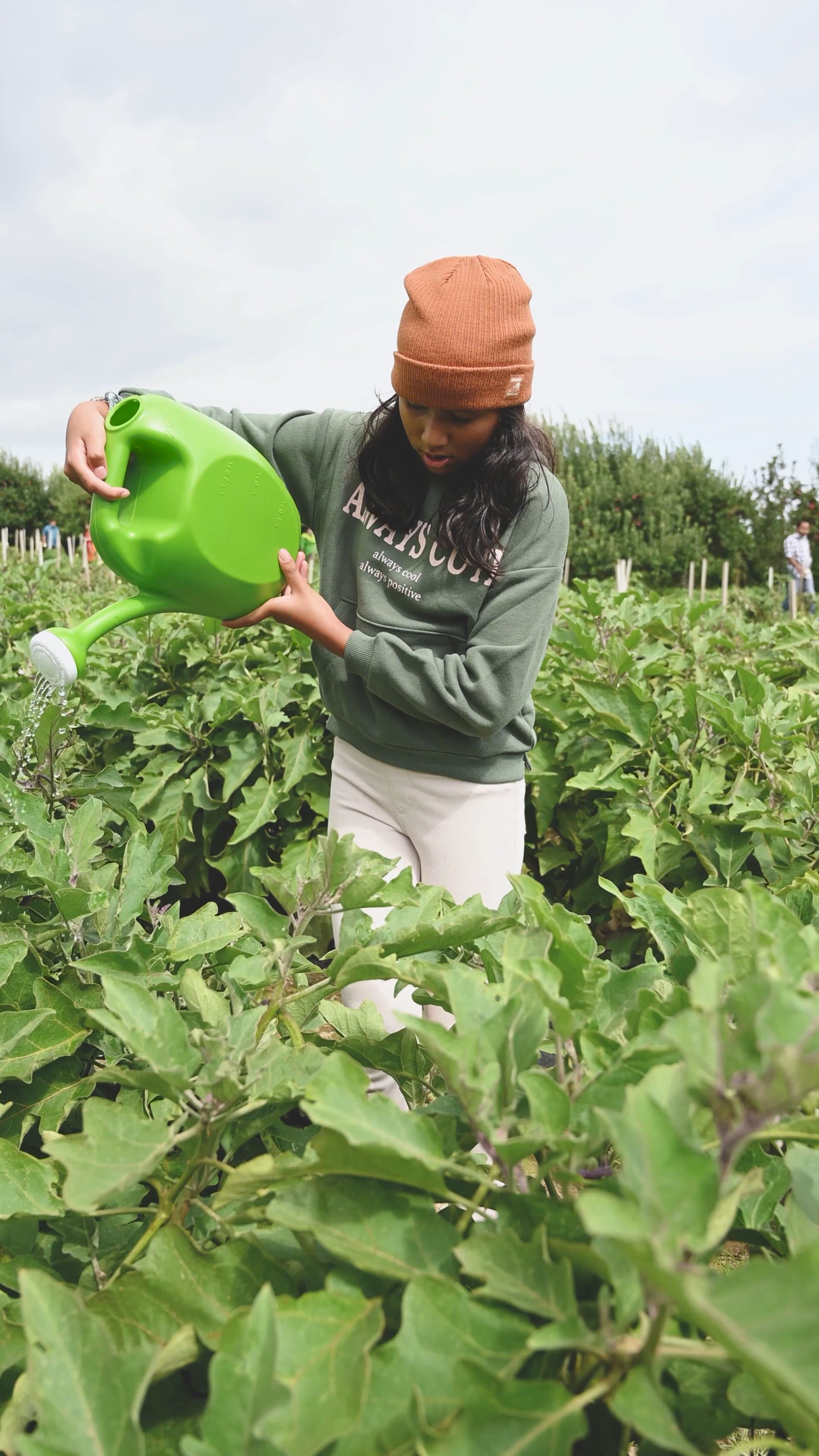 Una Mujer Regando Las Plantas En La Plantación · Vídeos de stock gratuitos