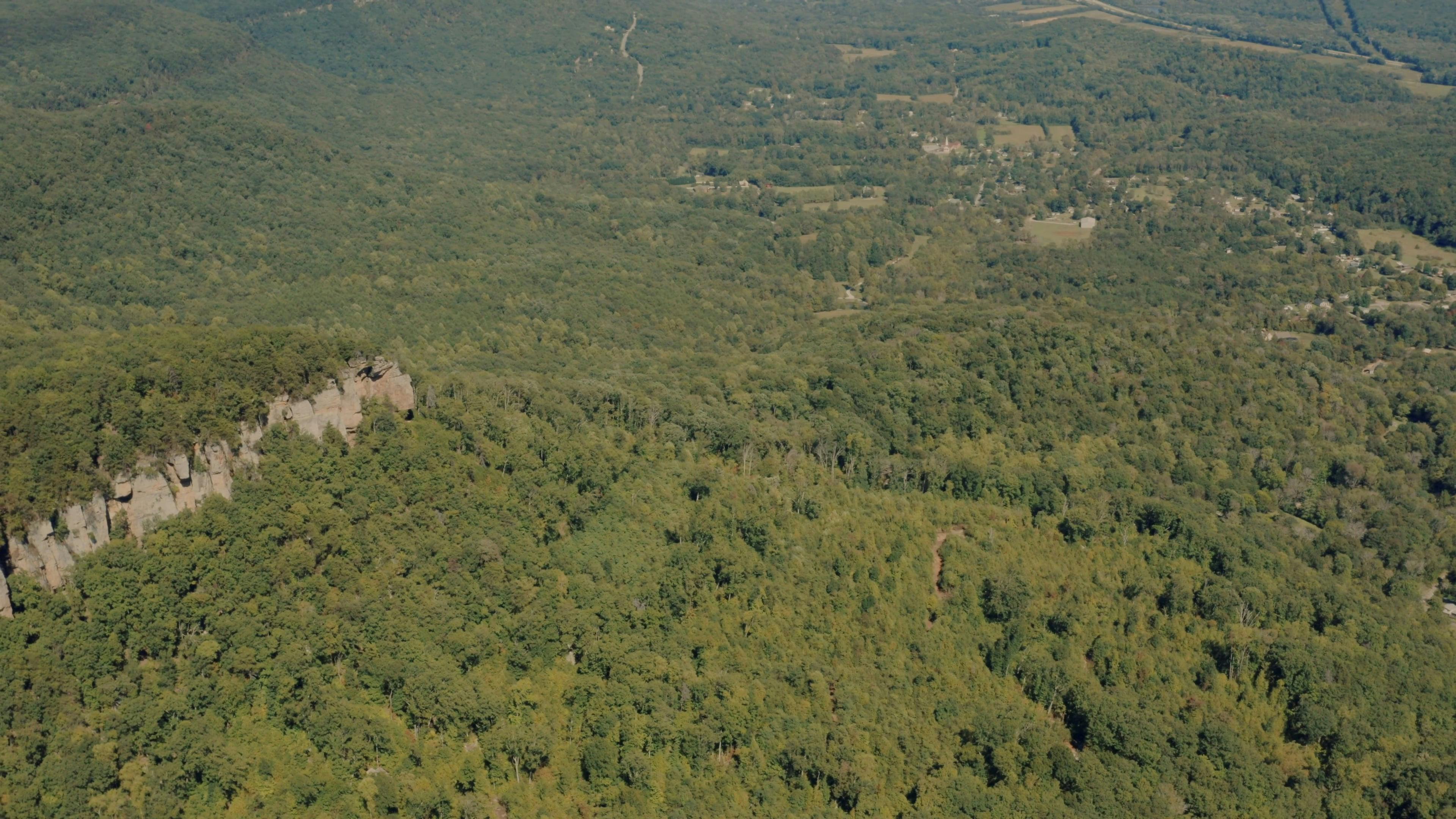 A Road In The Middle Of A Forest · Free Stock Video