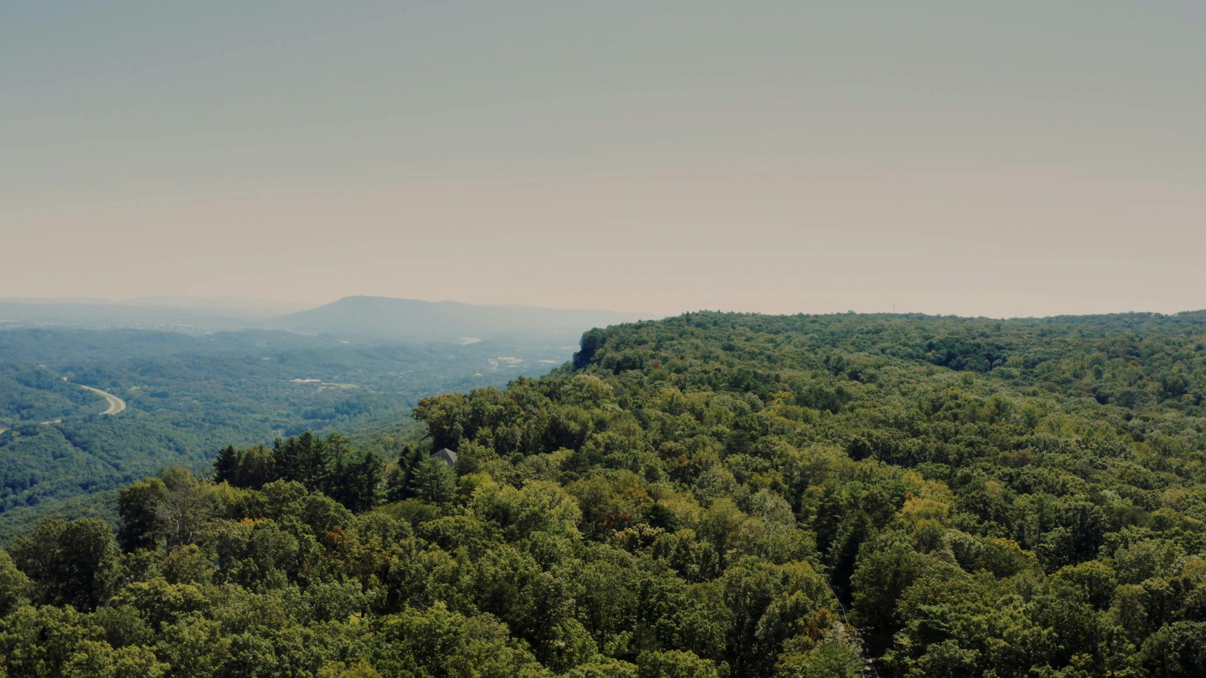 An Aerial Footage of a Forest Free Stock Video Footage, Royalty-Free 4K ...