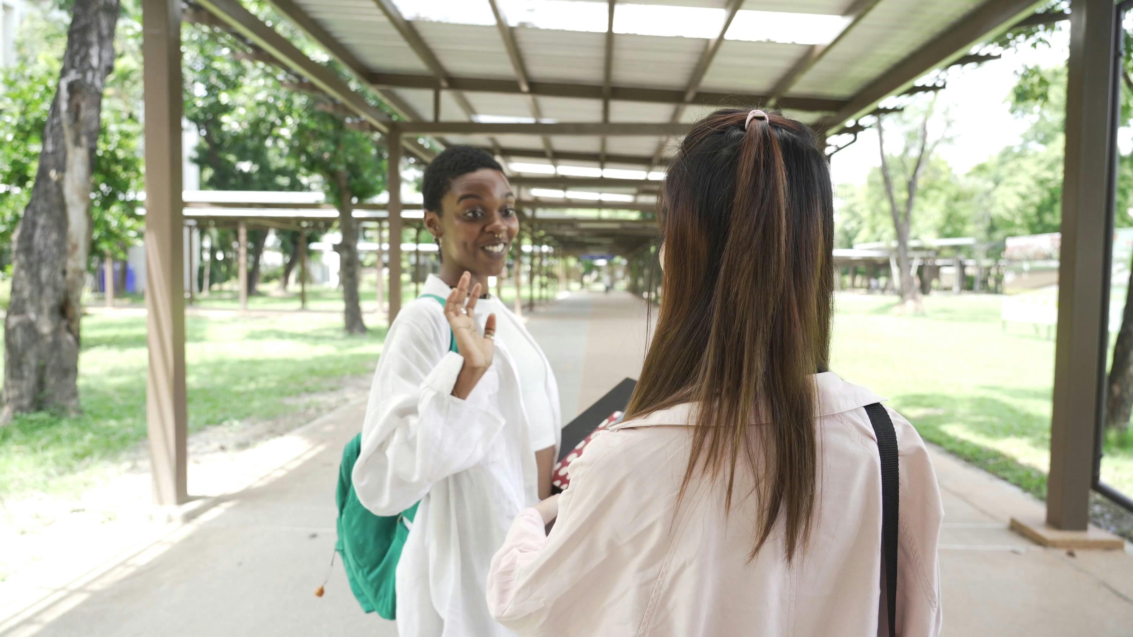 Two Women Waving Goodbye to Each Other Free Stock Video Footage ...