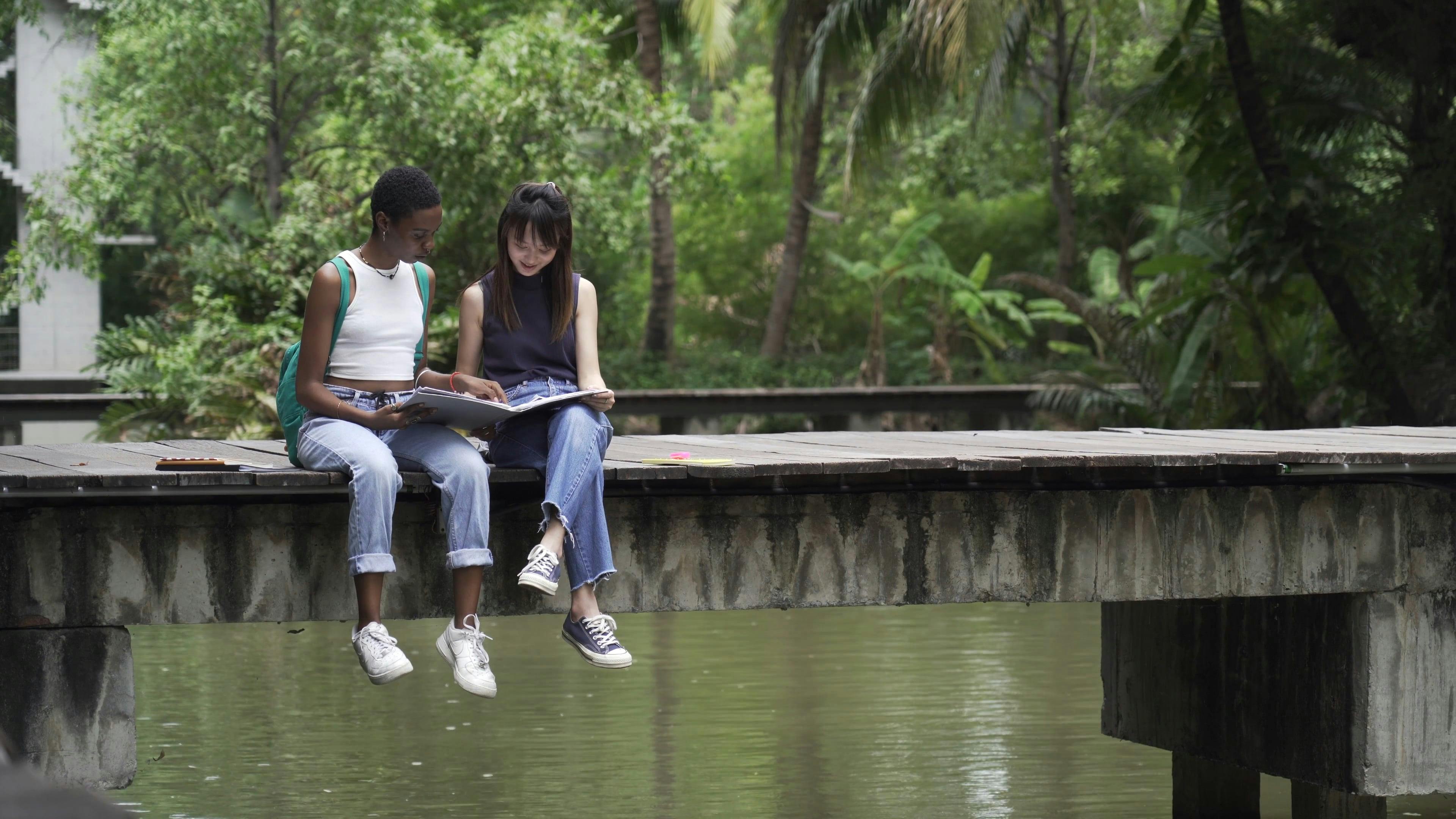 Women Studying Together in a Bridge Free Stock Video Footage, Royalty ...