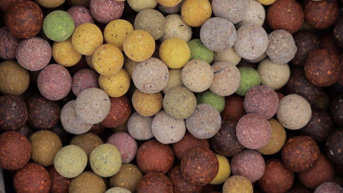 Fish Food Videos, Download The BEST Free 4k Stock Video Footage & Fish ...