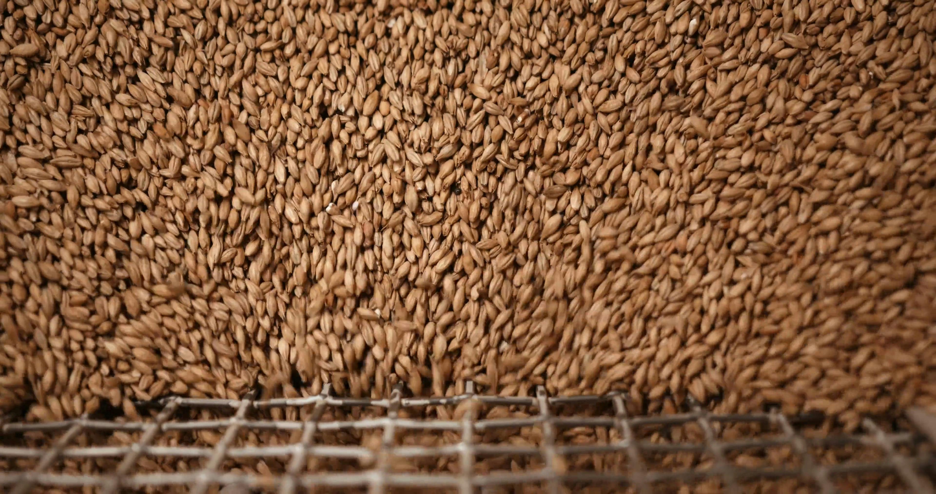 Malt Material Videos, Download The BEST Free 4k Stock Video Footage ...