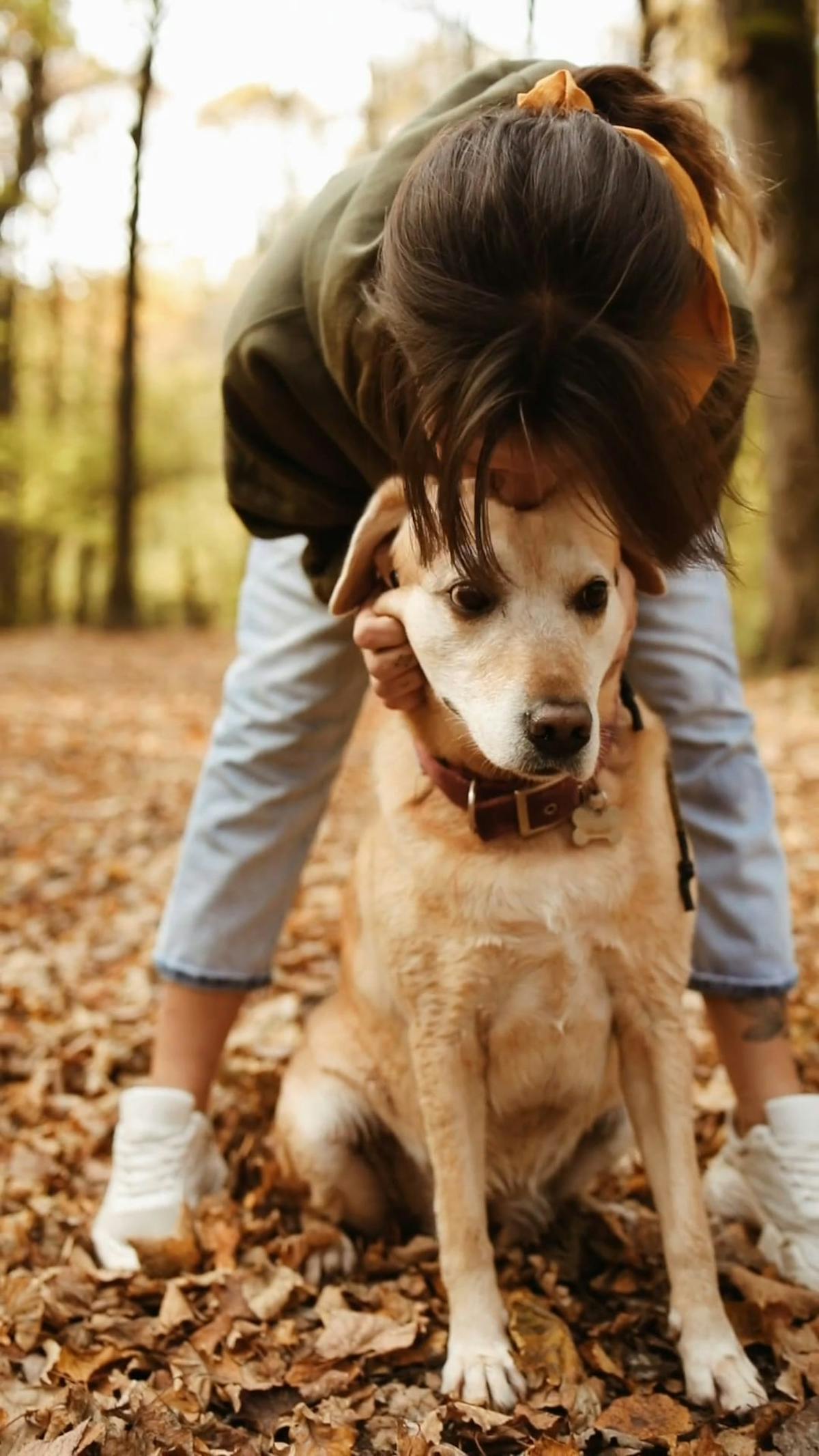 Dog Girl Videos, Download The BEST Free 4k Stock Video Footage & Dog ...