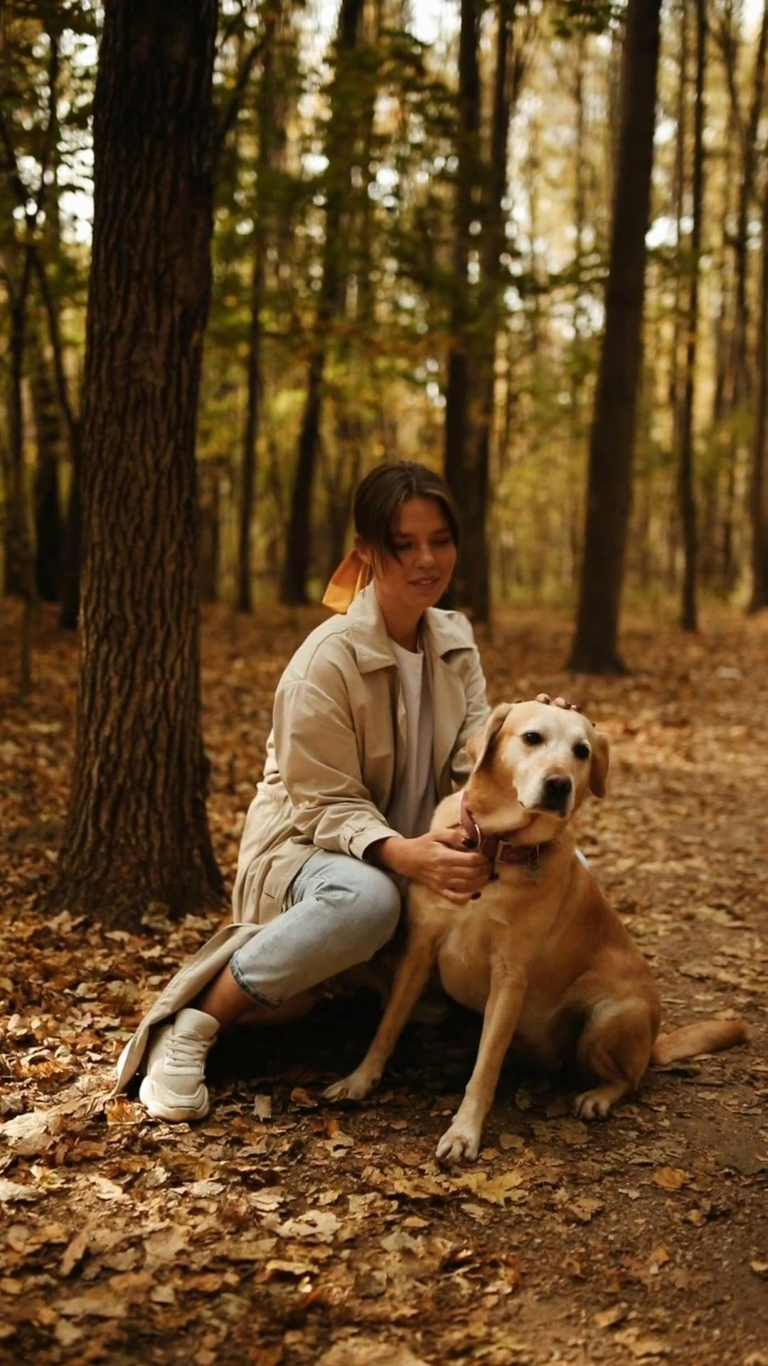 Young Woman and Dog Walking in Park Free Stock Video Footage, Royalty ...