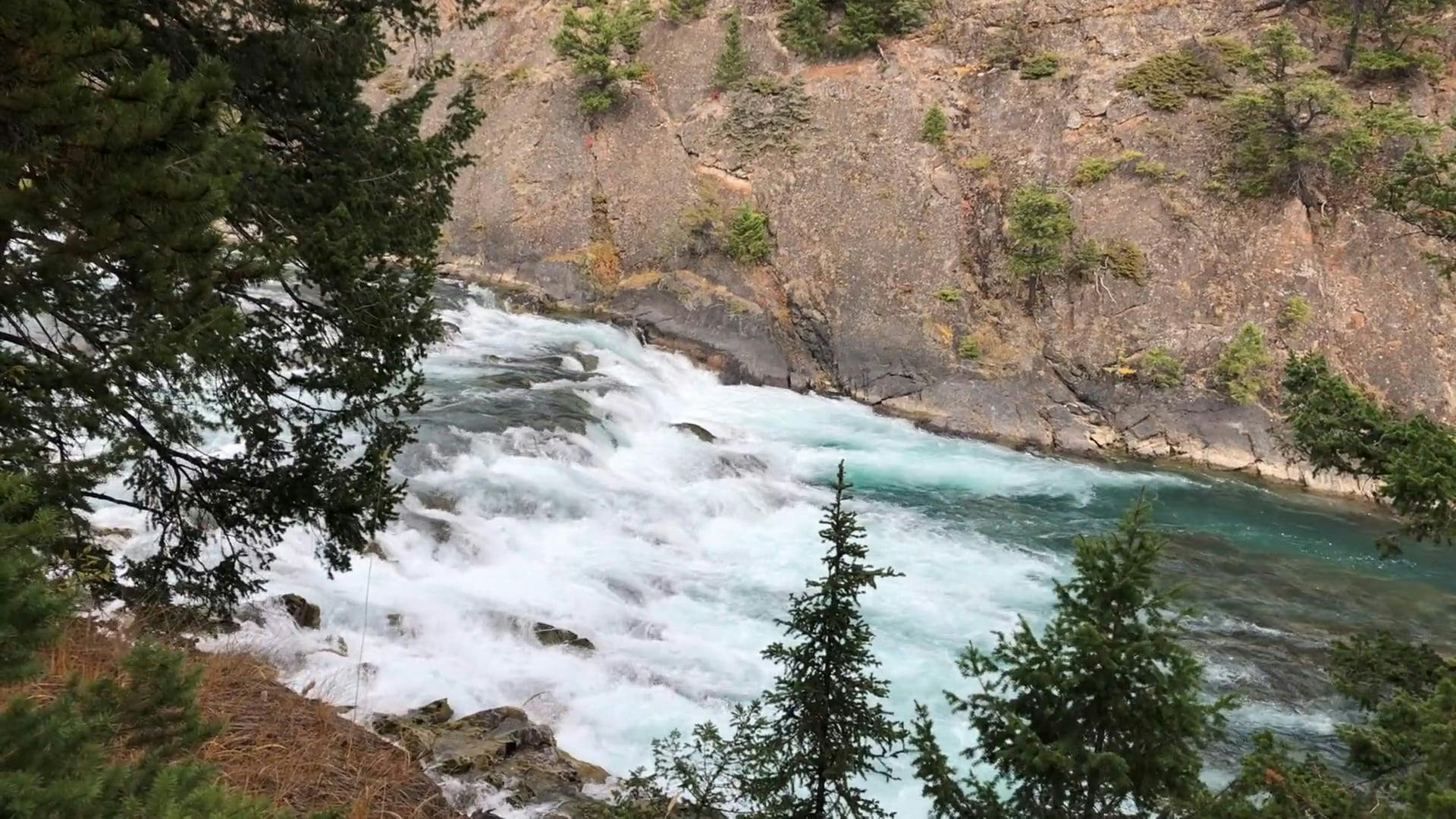 Alberta Guy - Photography