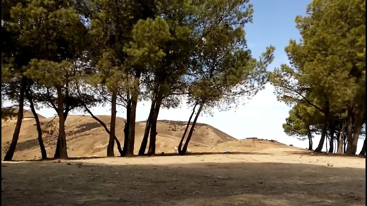 Static Cam Videos, Download The BEST Free 4k Stock Video Footage ...