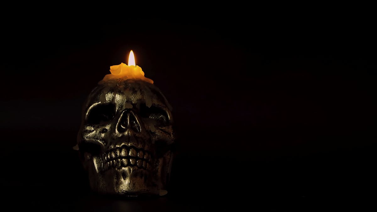 Skull Videos, Download The BEST Free 4k Stock Video Footage & Skull HD ...