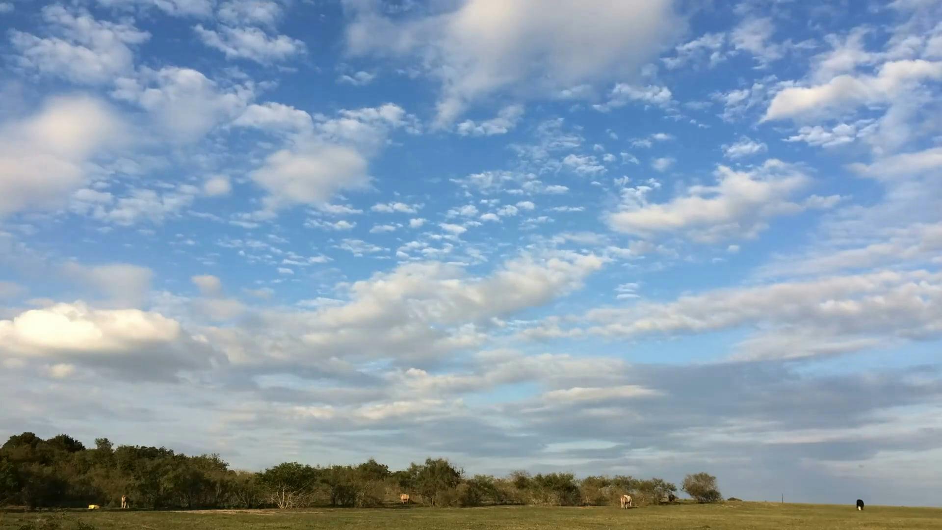 Time Lapse Video of the Sky · Free Stock Video