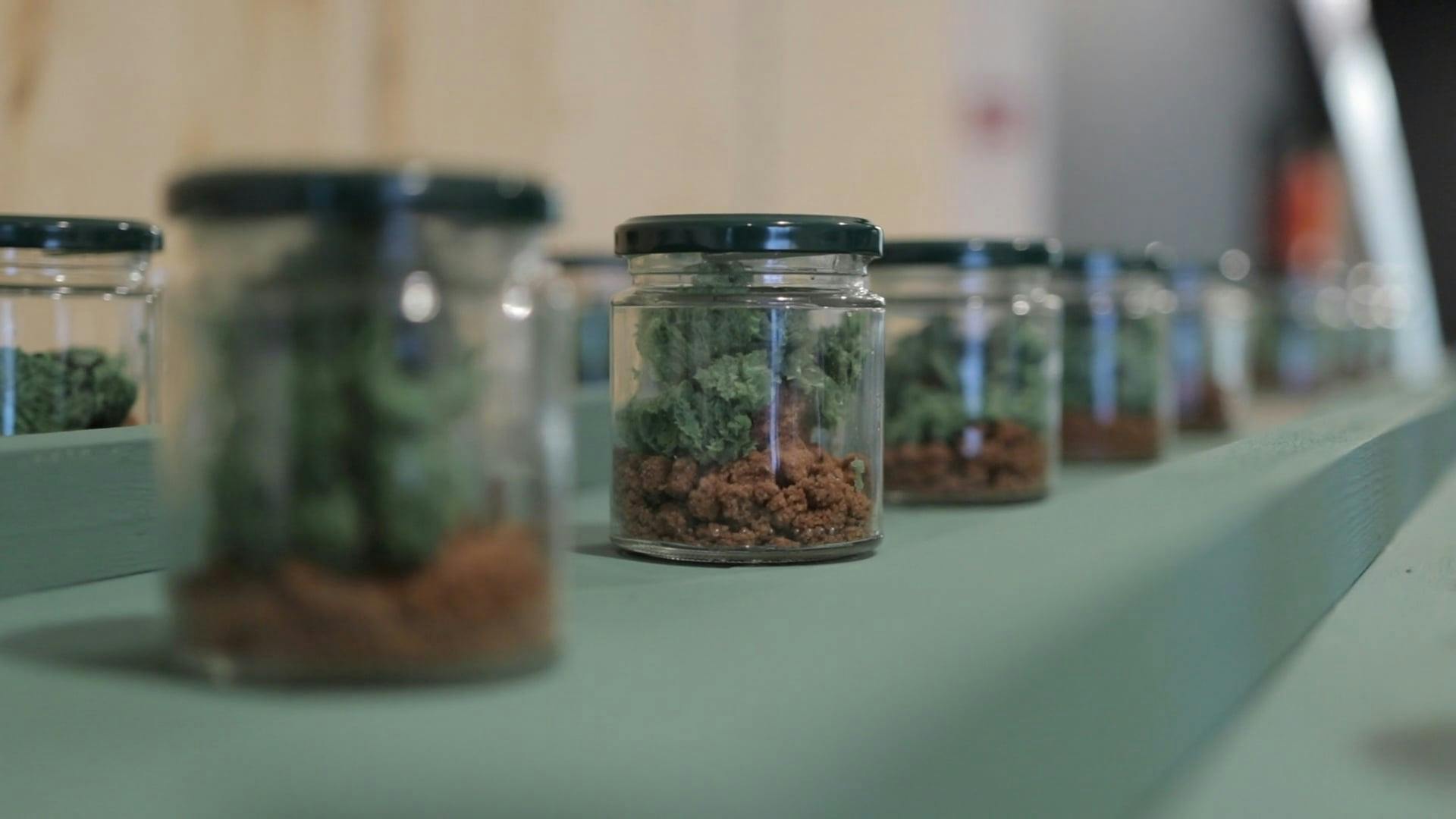 Preservation Methods Videos, Download The BEST Free 4k Stock Video ...