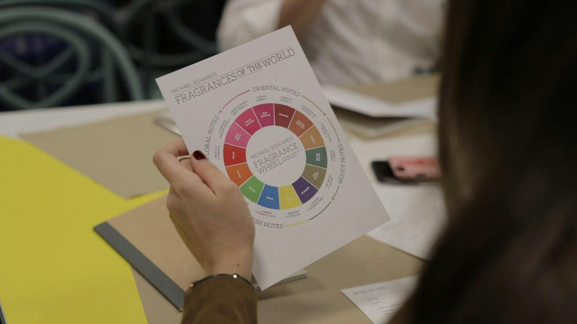 Color Wheel Videos, Download The BEST Free 4k Stock Video Footage ...