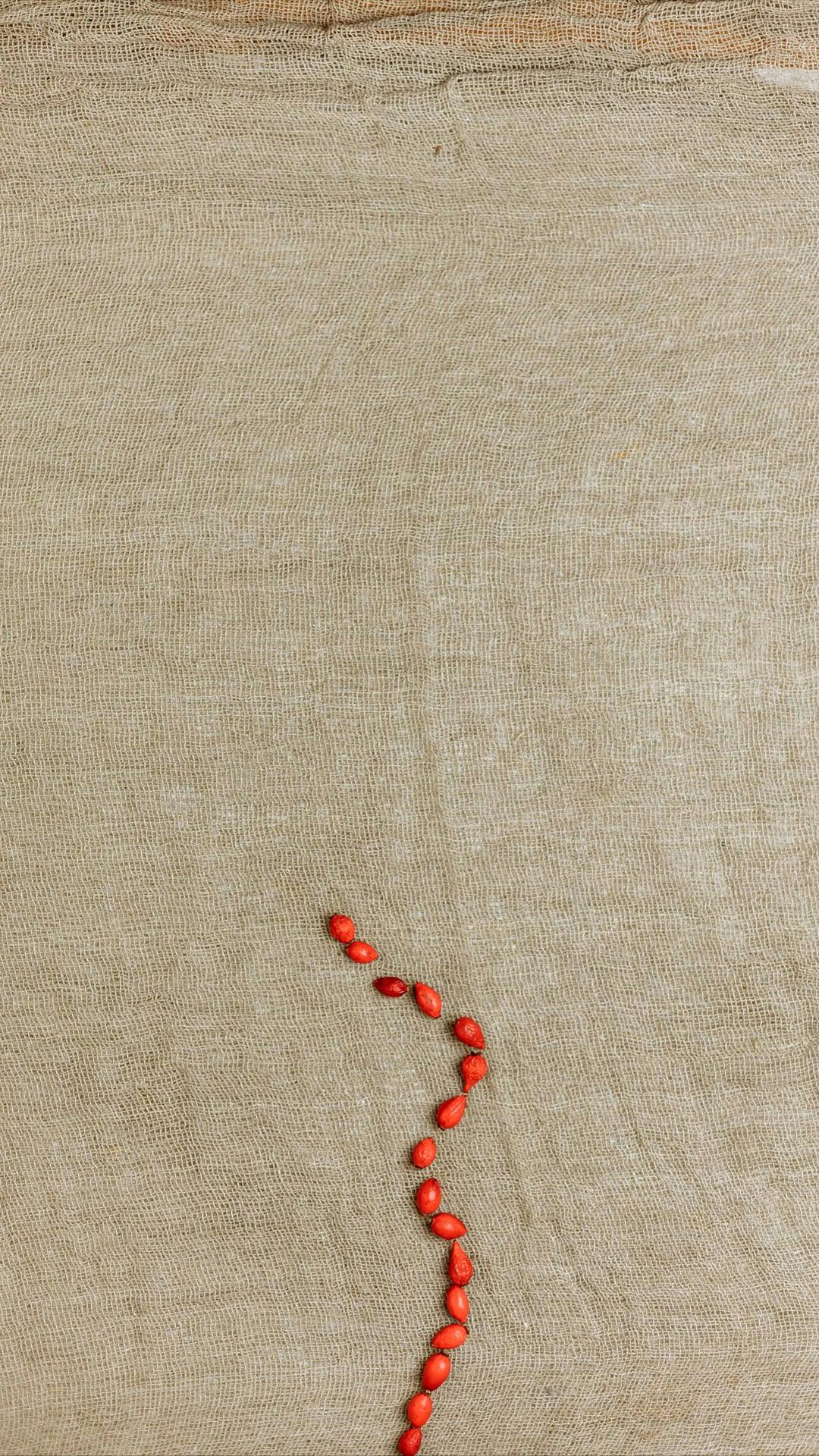 Halloween Stop Motion Free Stock Video Footage, Royalty-Free 4K & HD ...