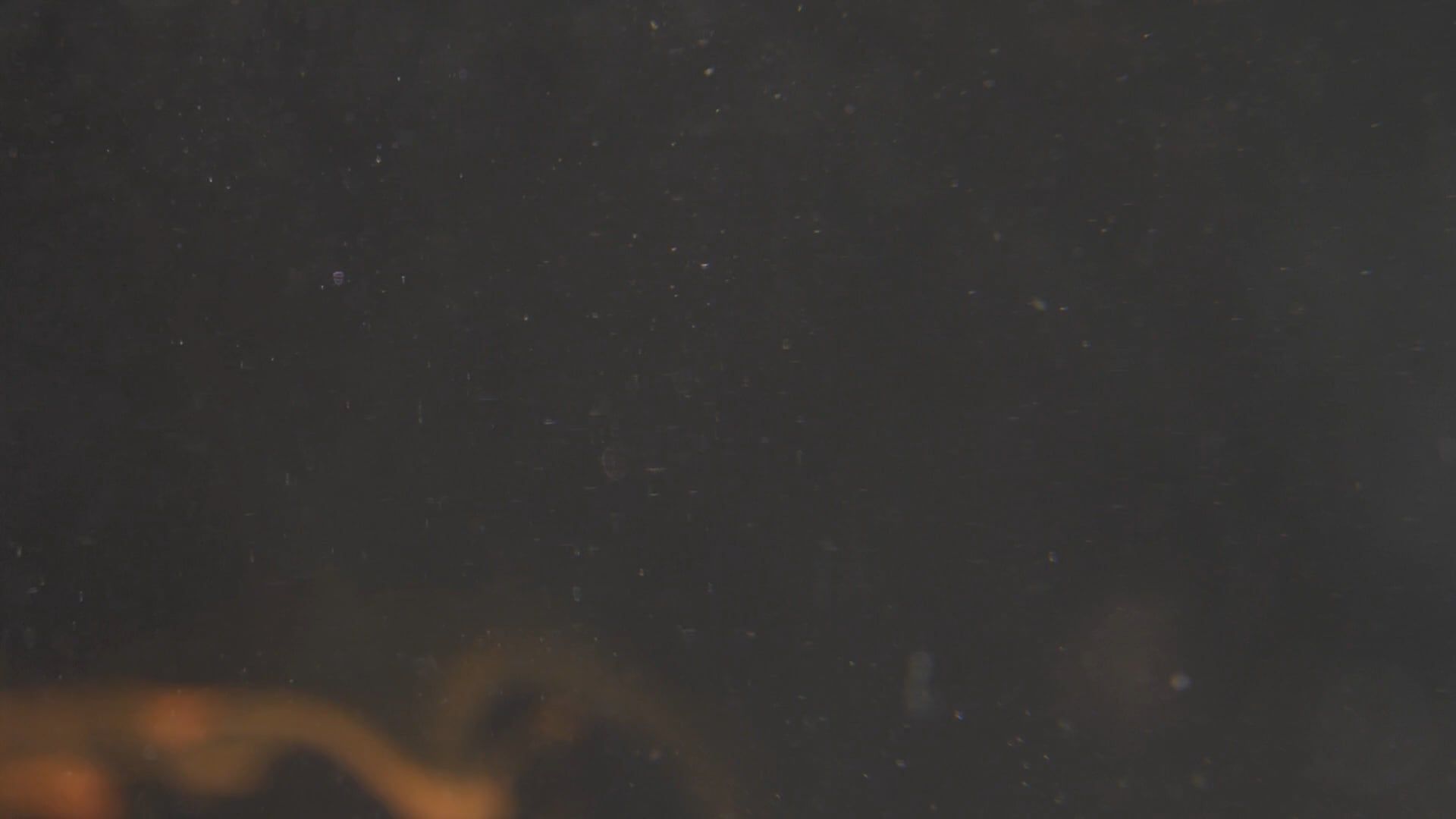 Ambient Art Videos, Download The BEST Free 4k Stock Video Footage ...