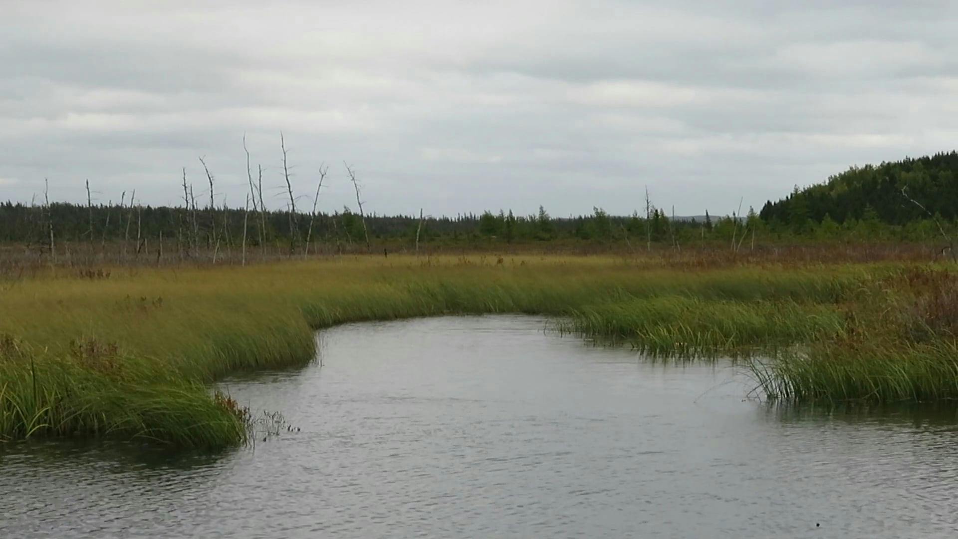 Watery Path Videos, Download The BEST Free 4k Stock Video Footage ...