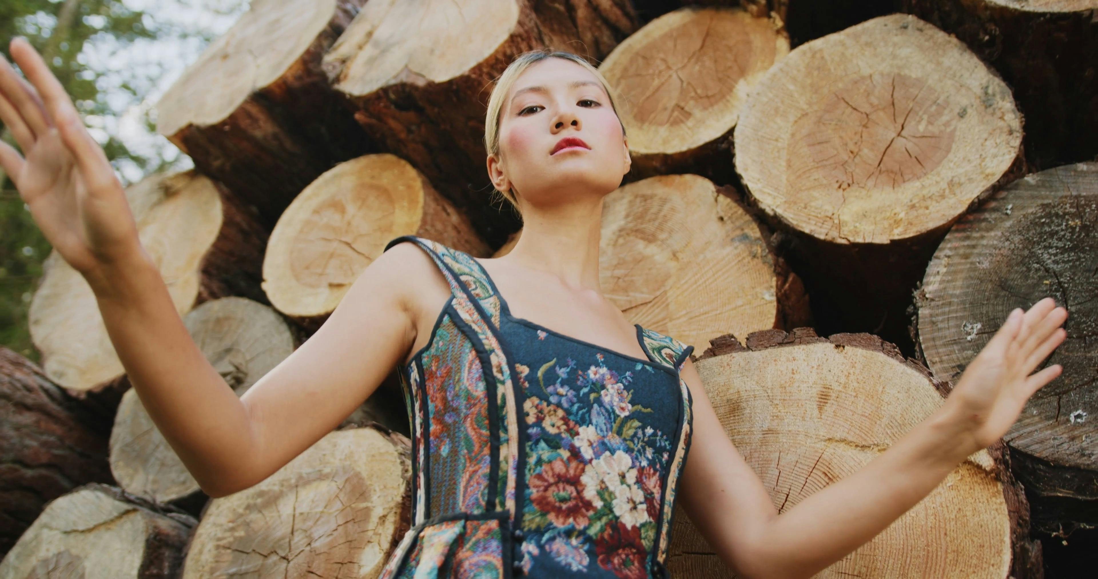 Timber Stack Videos, Download The BEST Free 4k Stock Video Footage ...