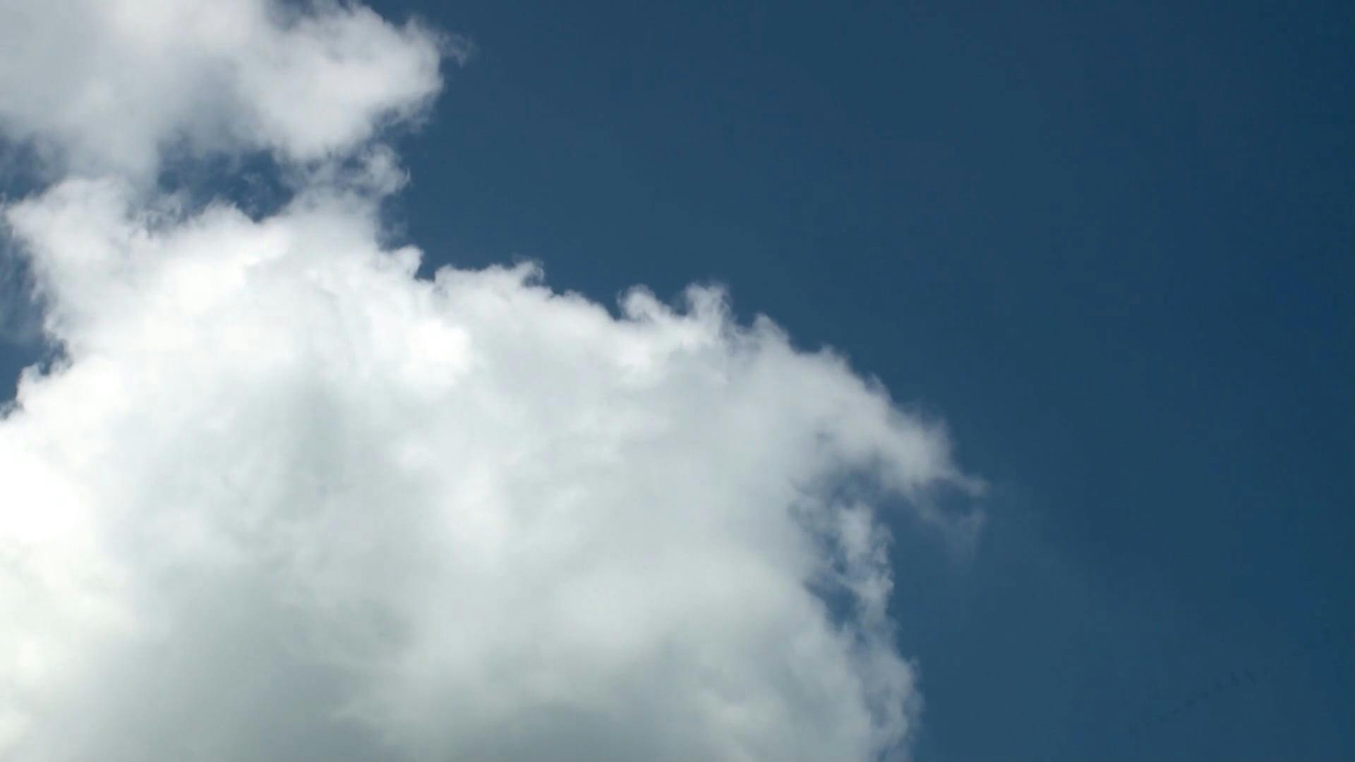 World Environmental Day Videos, Download The BEST Free 4k Stock Video ...